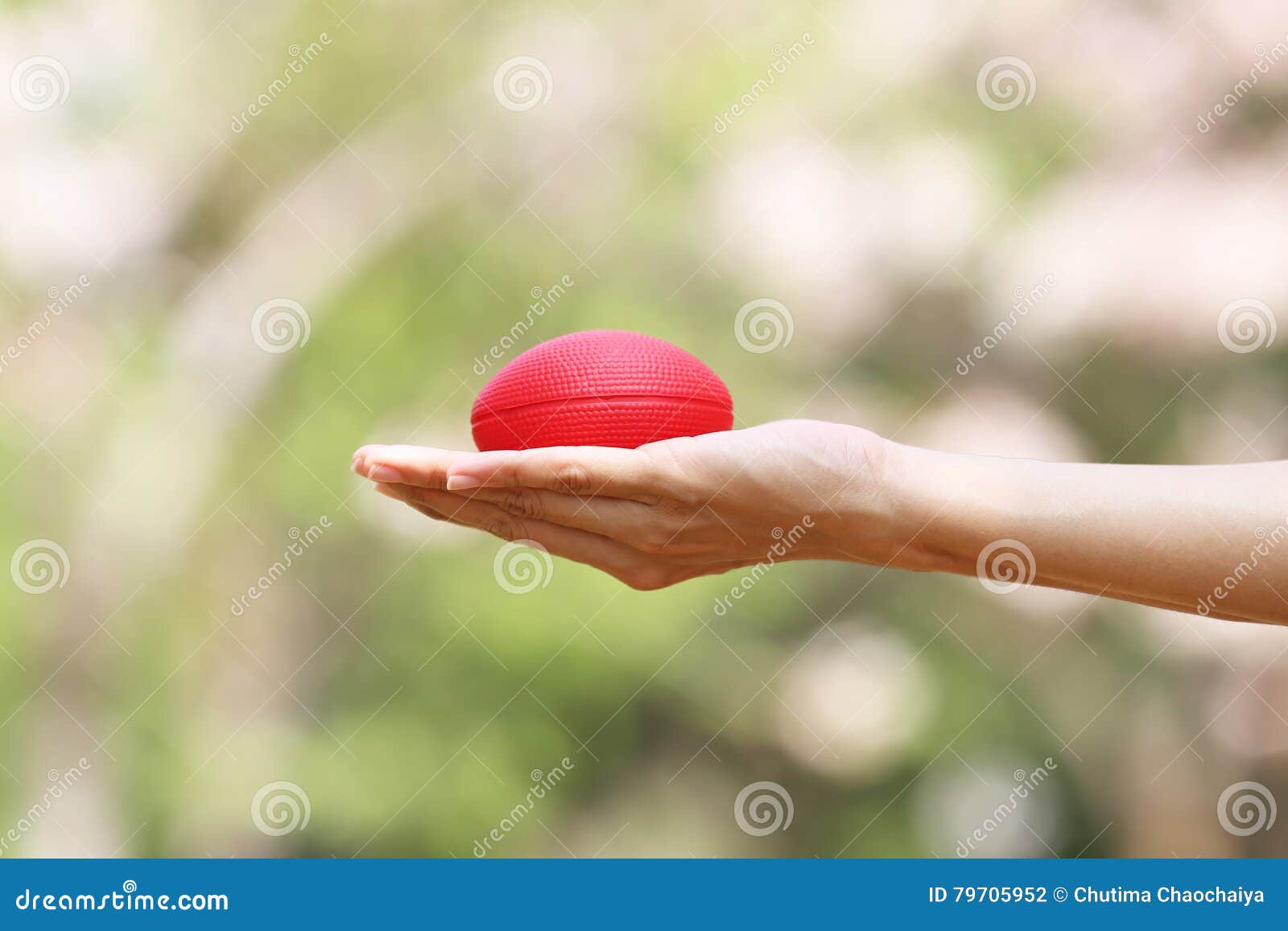 Hand of a Woman Squeezing a Stress Ball Stock Photo - Image of male ...