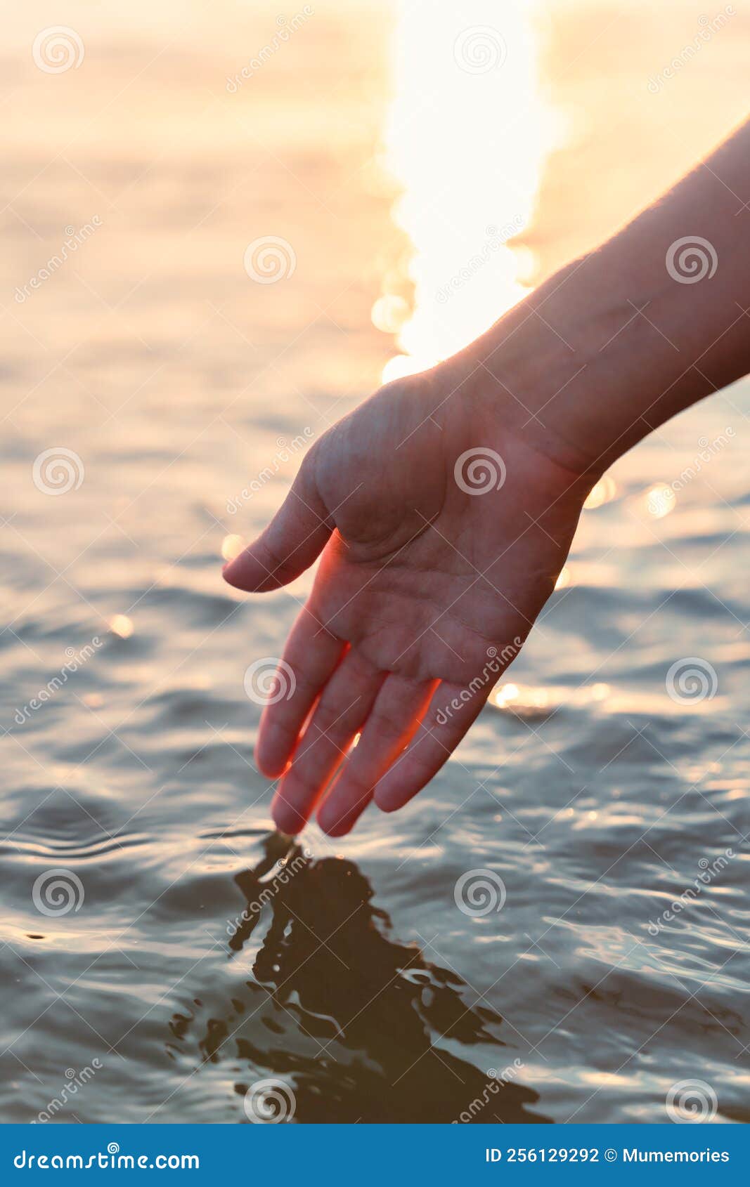 Hand of Woman Touching the Water Surface in the Sunset Stock Photo ...