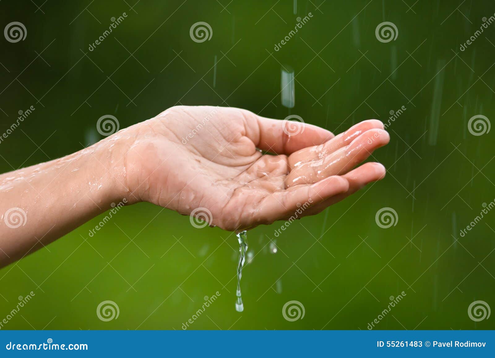 Hand of Women Catching Rain Drops Stock Image - Image of drop, clean ...