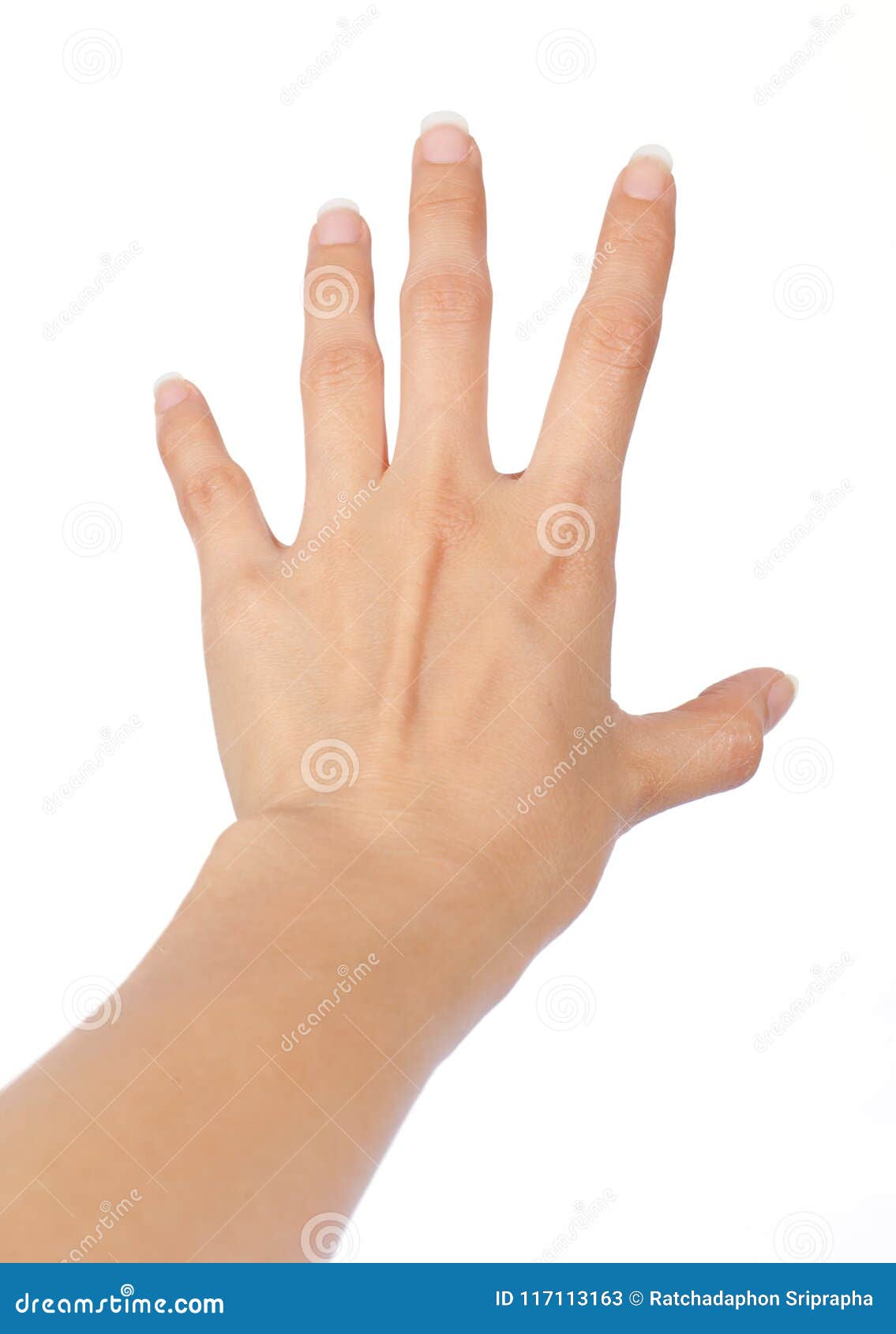 Hand Women Grab Posting Isolate Stock Image - Image of palm, human ...