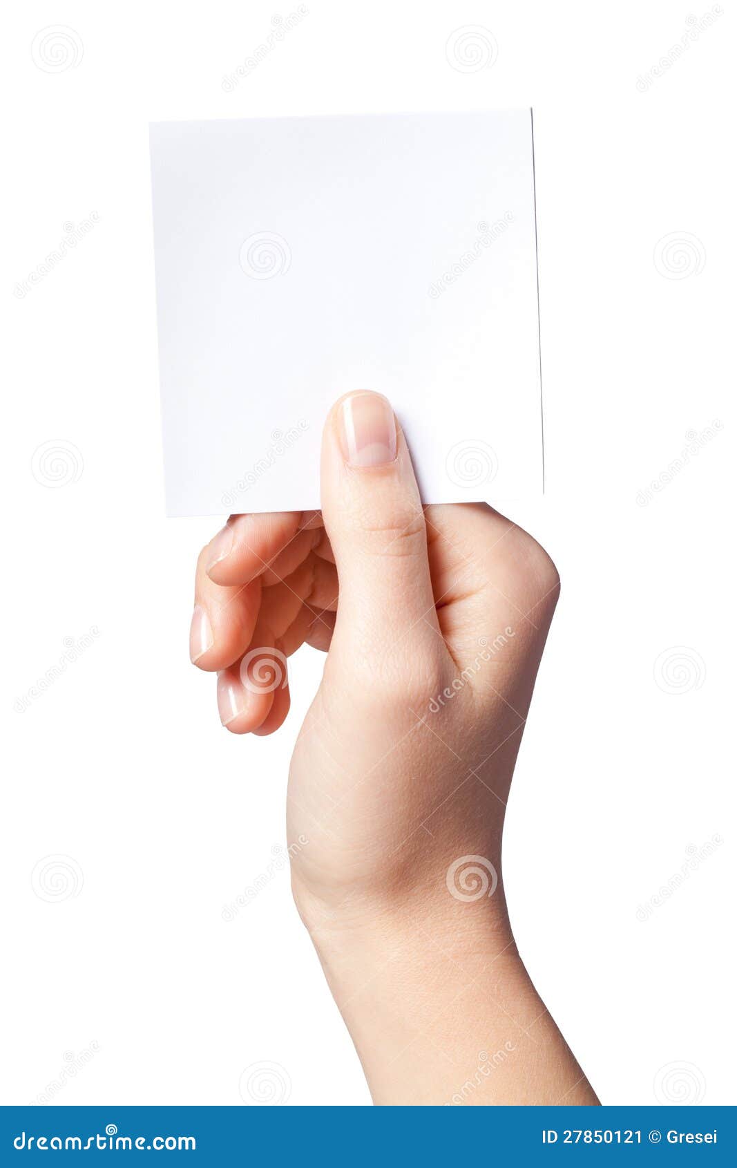 Hand of Women Holding Blank Paper Label Stock Image - Image of people ...
