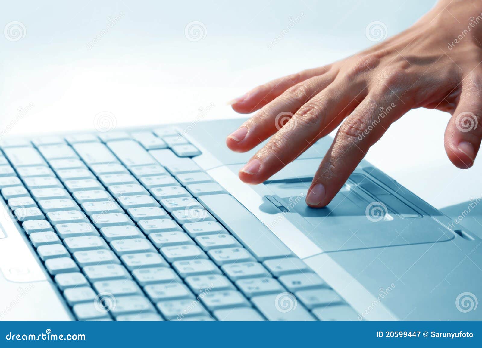 Hand, Women are Using Computers Stock Image - Image of executive ...