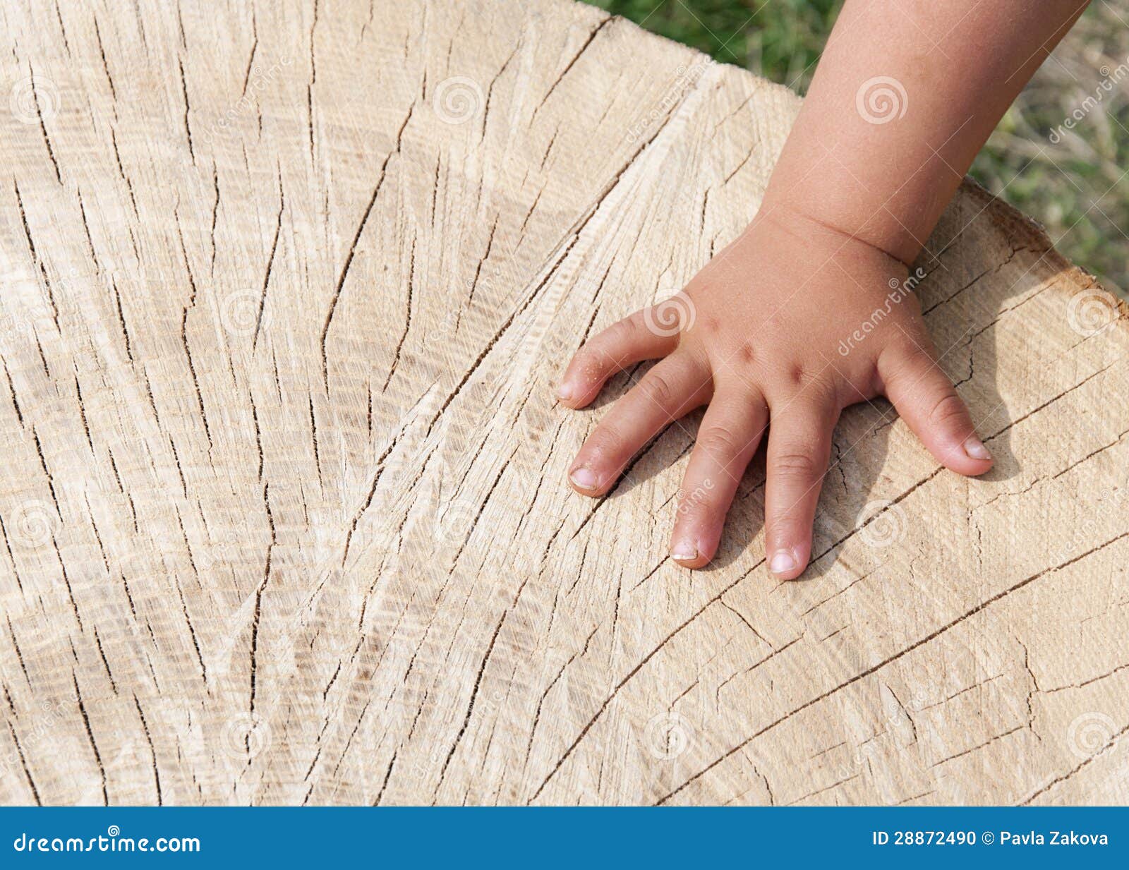 Hand on wood texture stock photo. Image of nature, cracks - 28872490