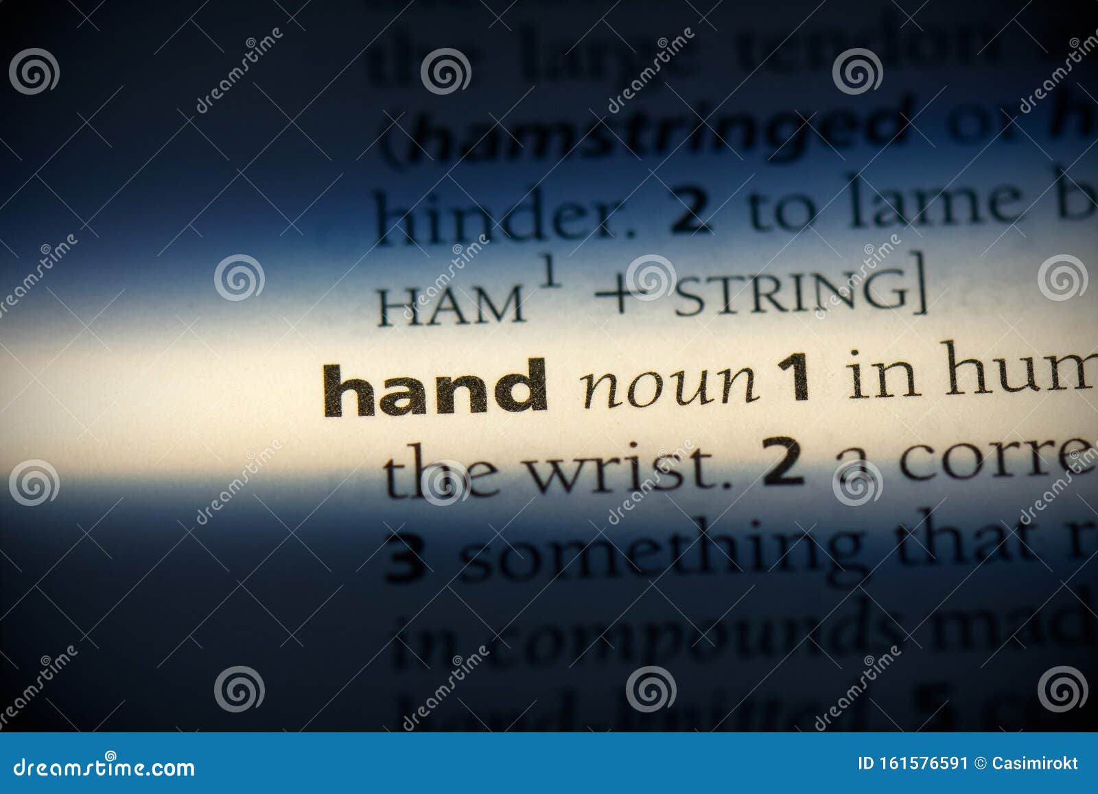 Hand stock image. Image of minimal, highlight, vocabulary - 161576591