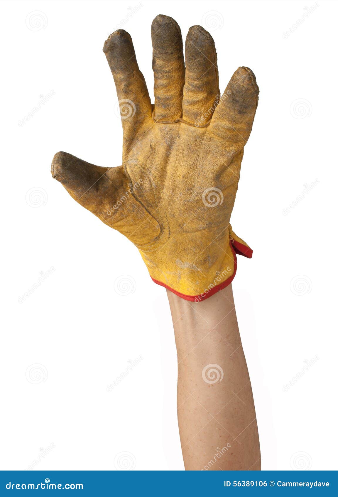 Hand Work Glove isolated stock photo. Image of work, dirty - 56389106
