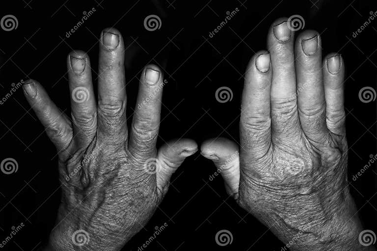 The hand of a working man stock photo. Image of leaf - 251686624