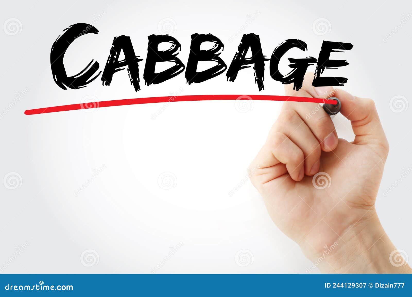 Hand Writing Cabbage with Marker, Concept Background Stock Image ...