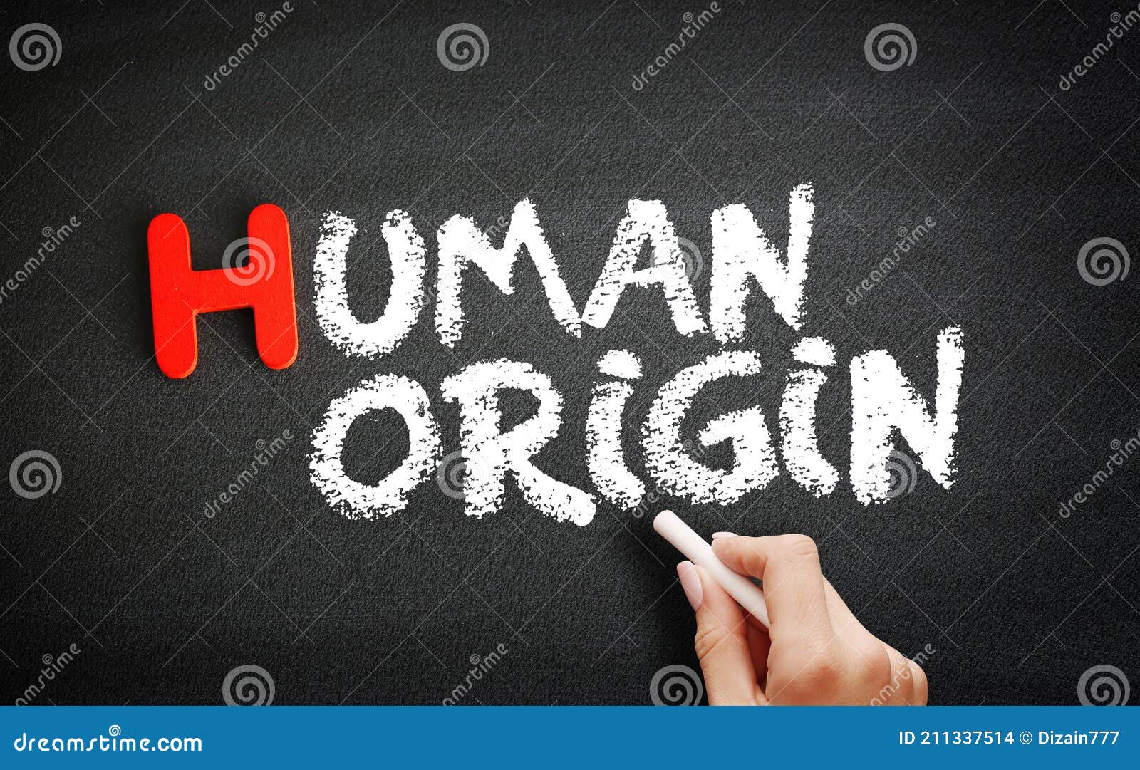 Hand Writing Human Origin on Blackboard, Concept Background Stock Photo ...