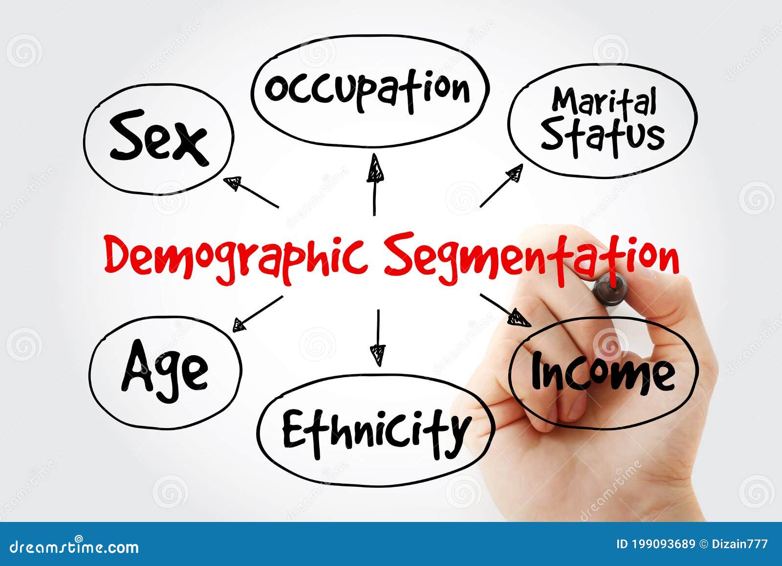 Demographic Segmentation Mind Map Flowchart Social Business Concept for ...