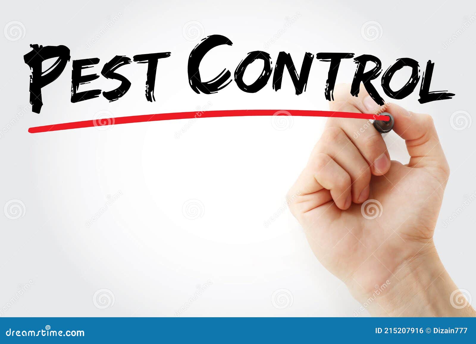 Hand Writing Pest Control with Marker, Concept Background Stock Photo ...