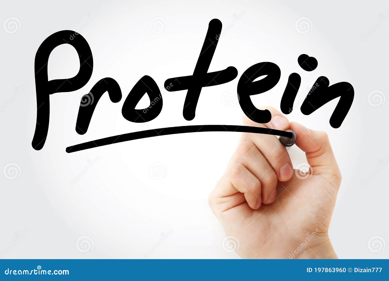 Hand Writing Protein with Marker Stock Photo - Image of acids, feed ...