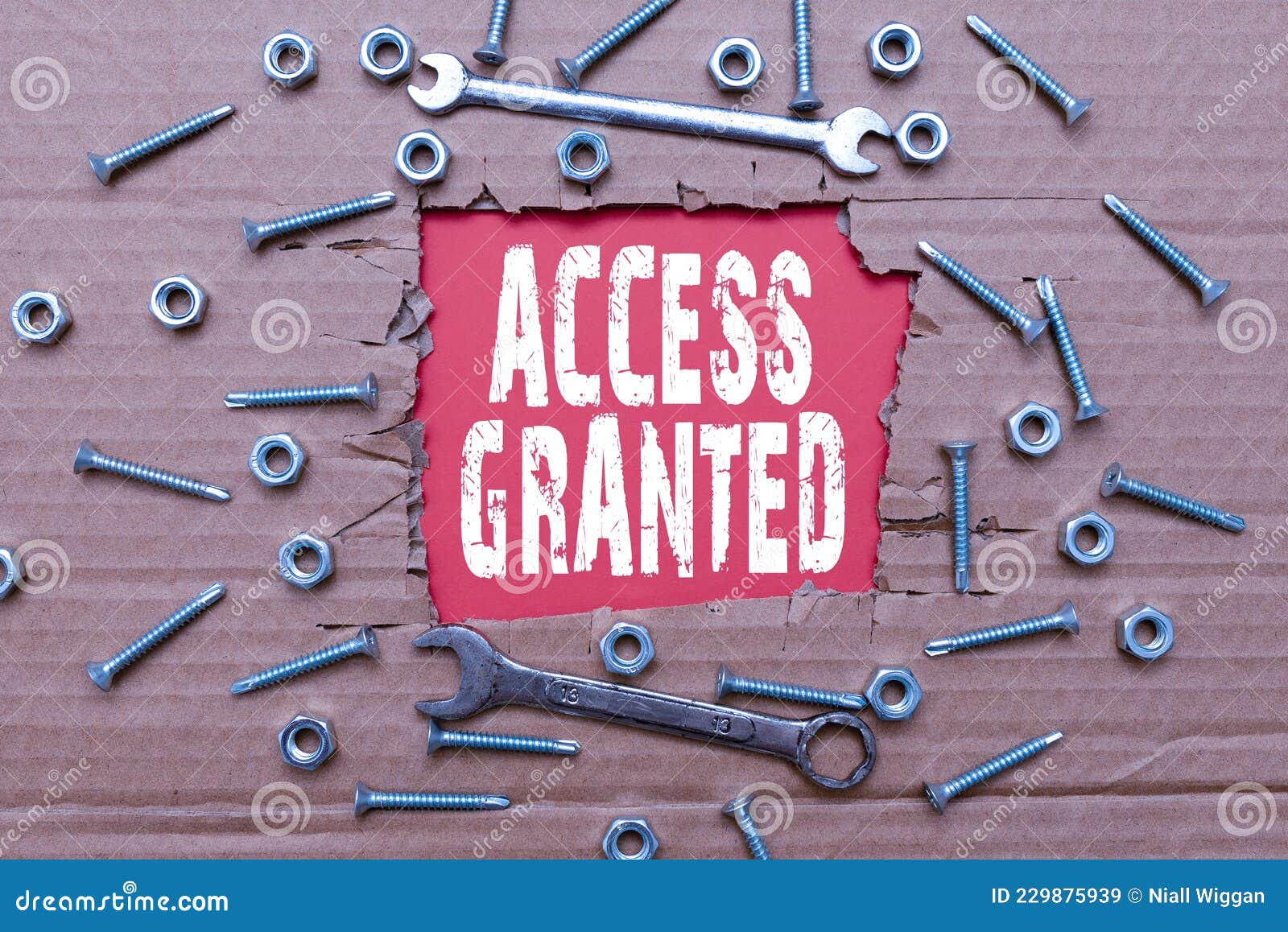 Text Caption Presenting Access Granted. Word for Admittance of Users To ...