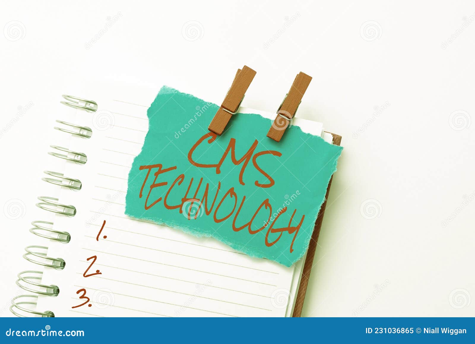 Writing Displaying Text Cms Technology. Business Approach Programs that ...