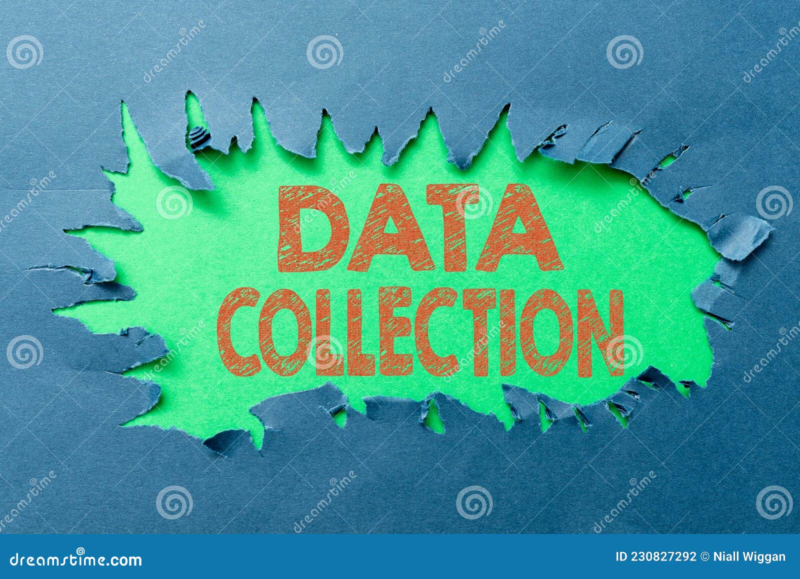 Sign Displaying Data Collection. Business Approach Gathering and ...