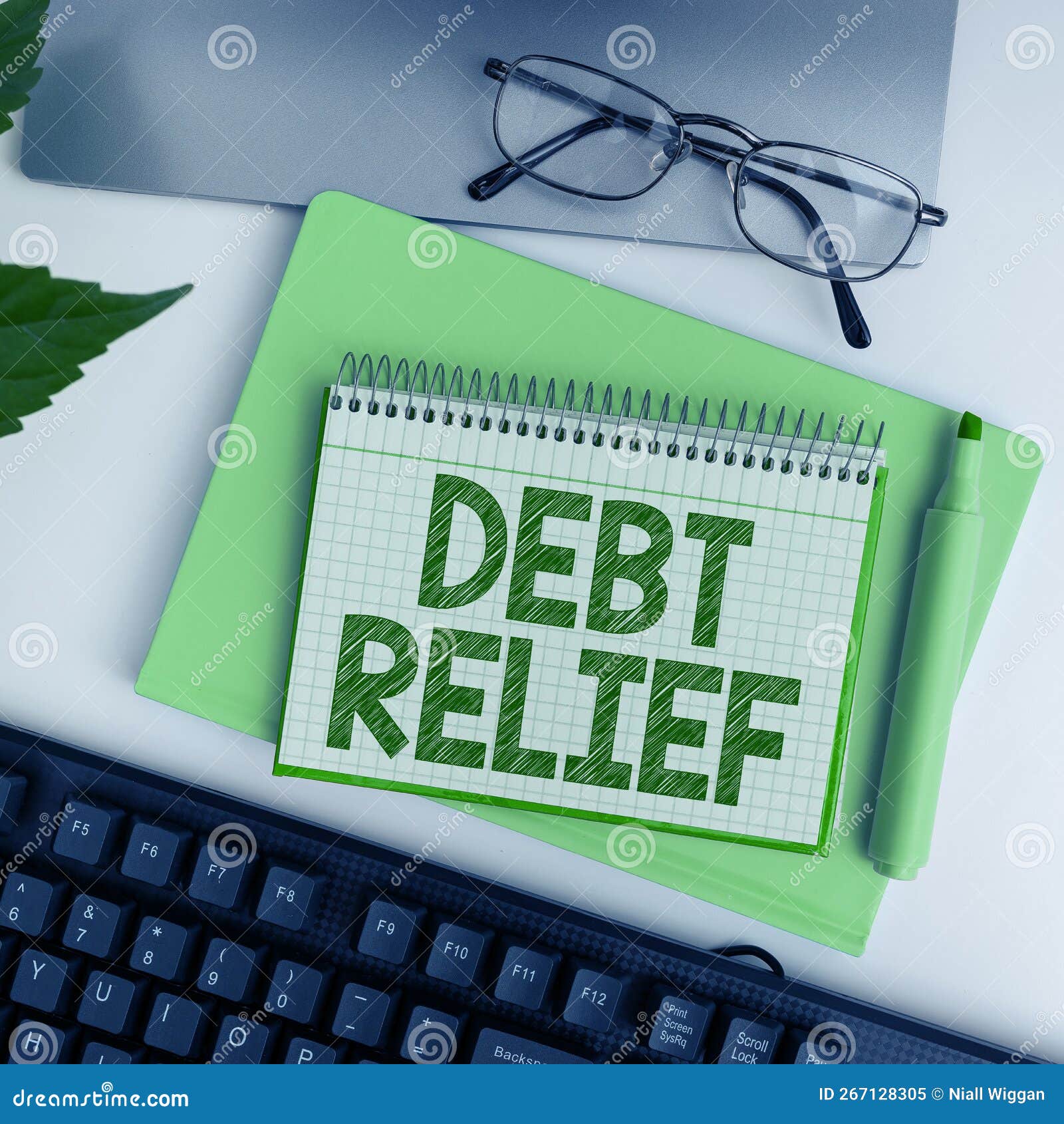Hand Writing Sign Debt Relief. Business Approach Partial or Total ... Hand Writing Sign Debt Relief. Business Approach Partial or Total ...