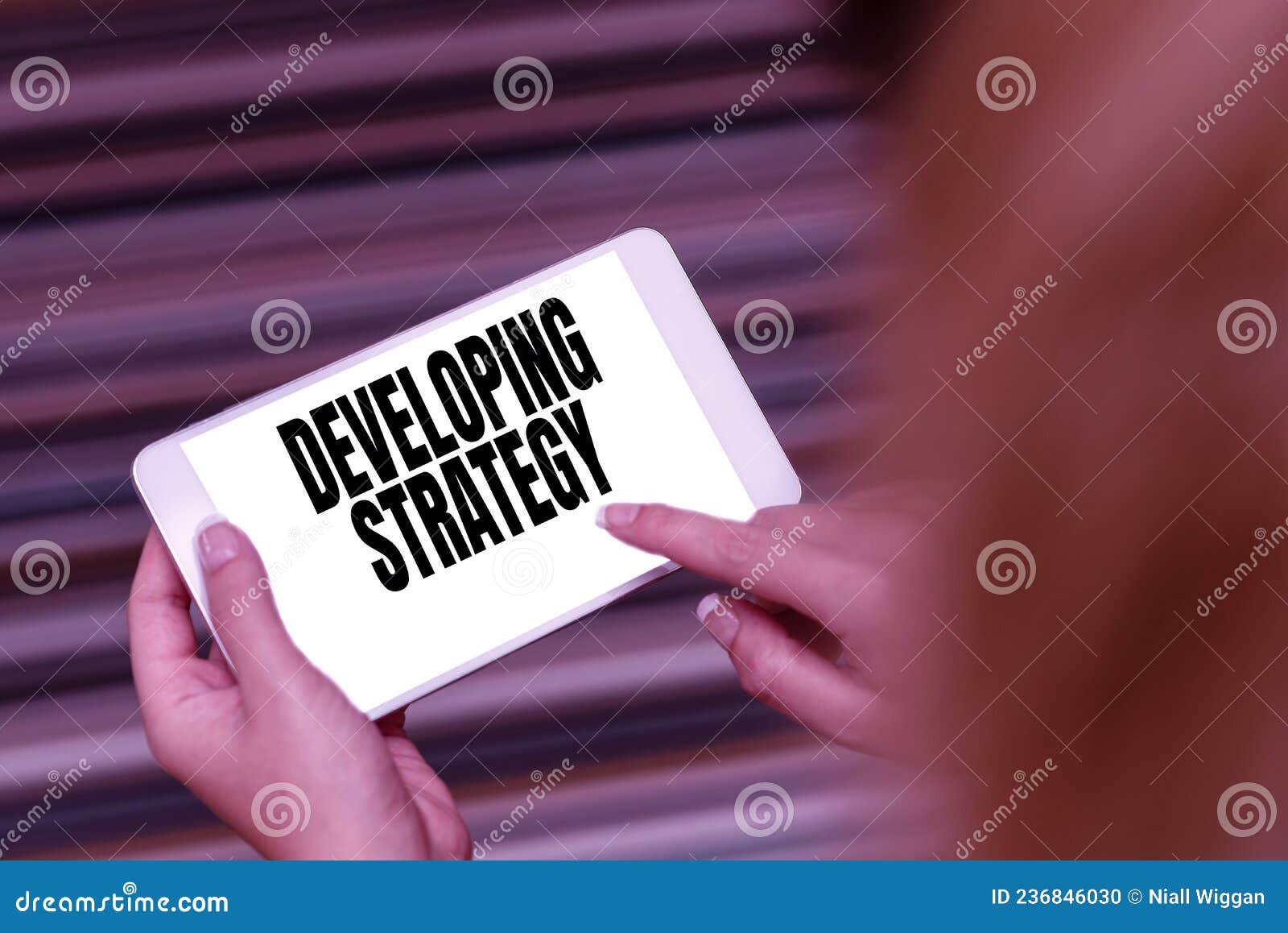 Text Sign Showing Developing Strategy. Conceptual Photo Organizations ...