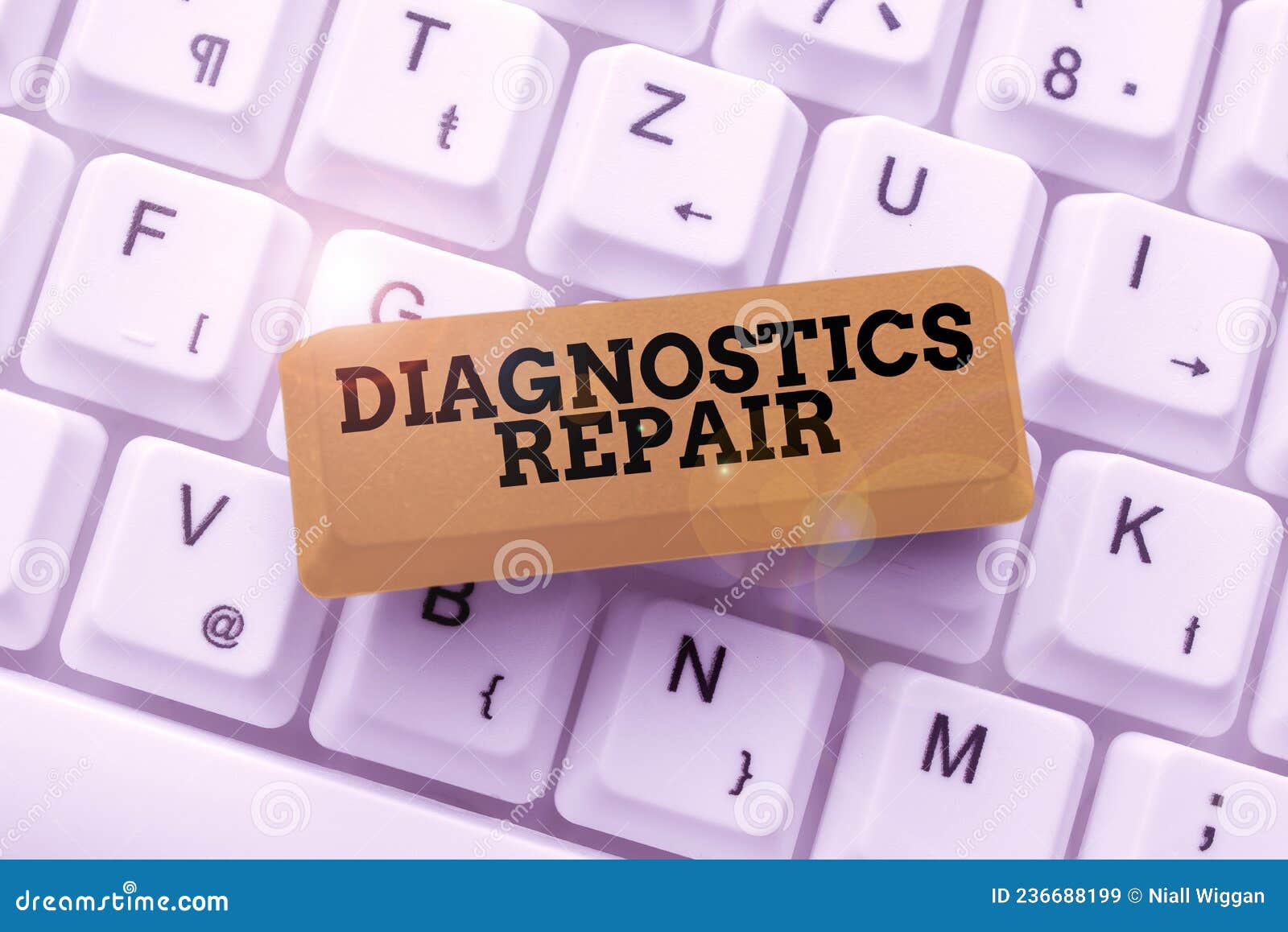 Hand Writing Sign Diagnostics Repair. Word for a Program or Routine ...