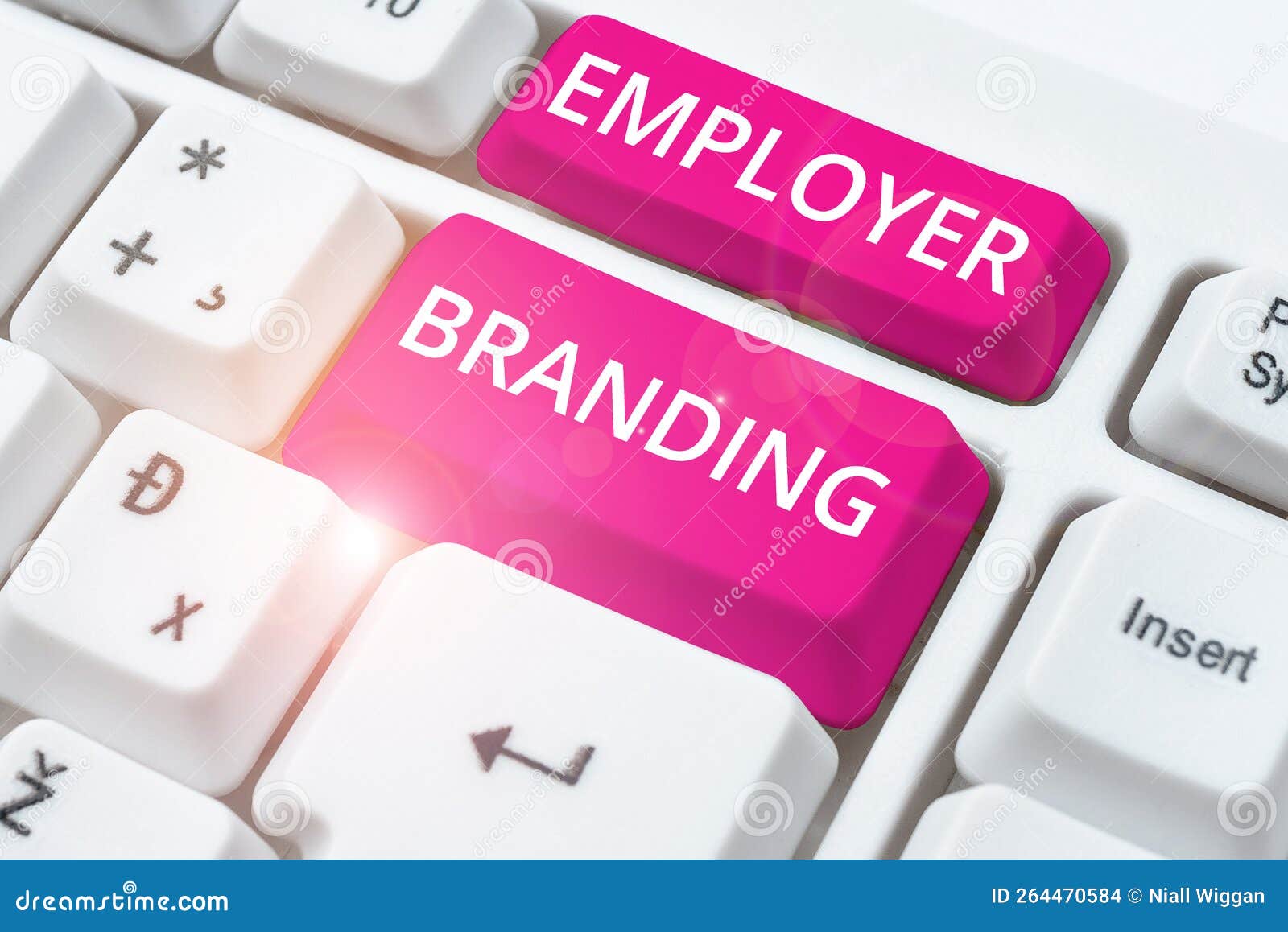 Sign Displaying Employer Branding. Business Overview Process of ... Sign Displaying Employer Branding. Business Overview Process of ...
