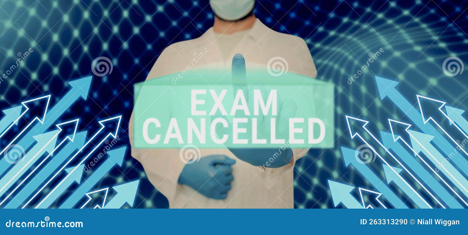 Conceptual Display Exam Cancelled. Business Overview the Precise ...