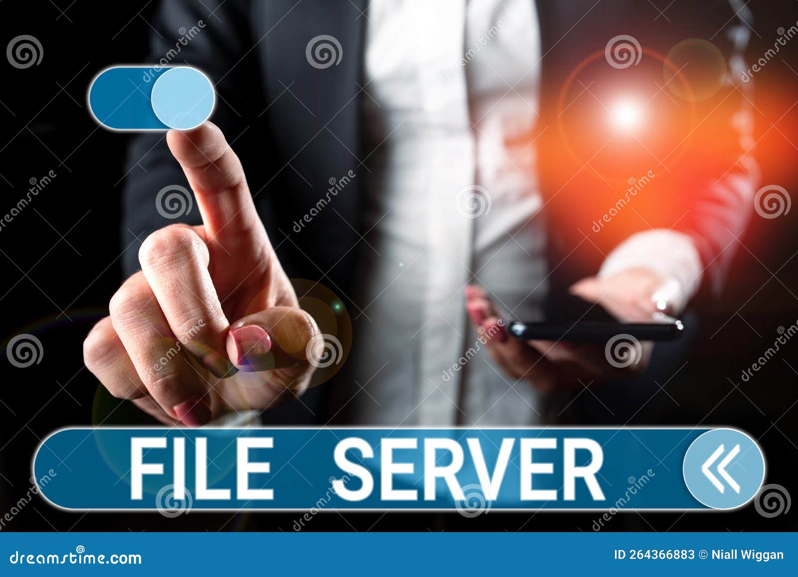 Text Sign Showing File Server Concept Meaning Device Which Controls Access To Separately Stored