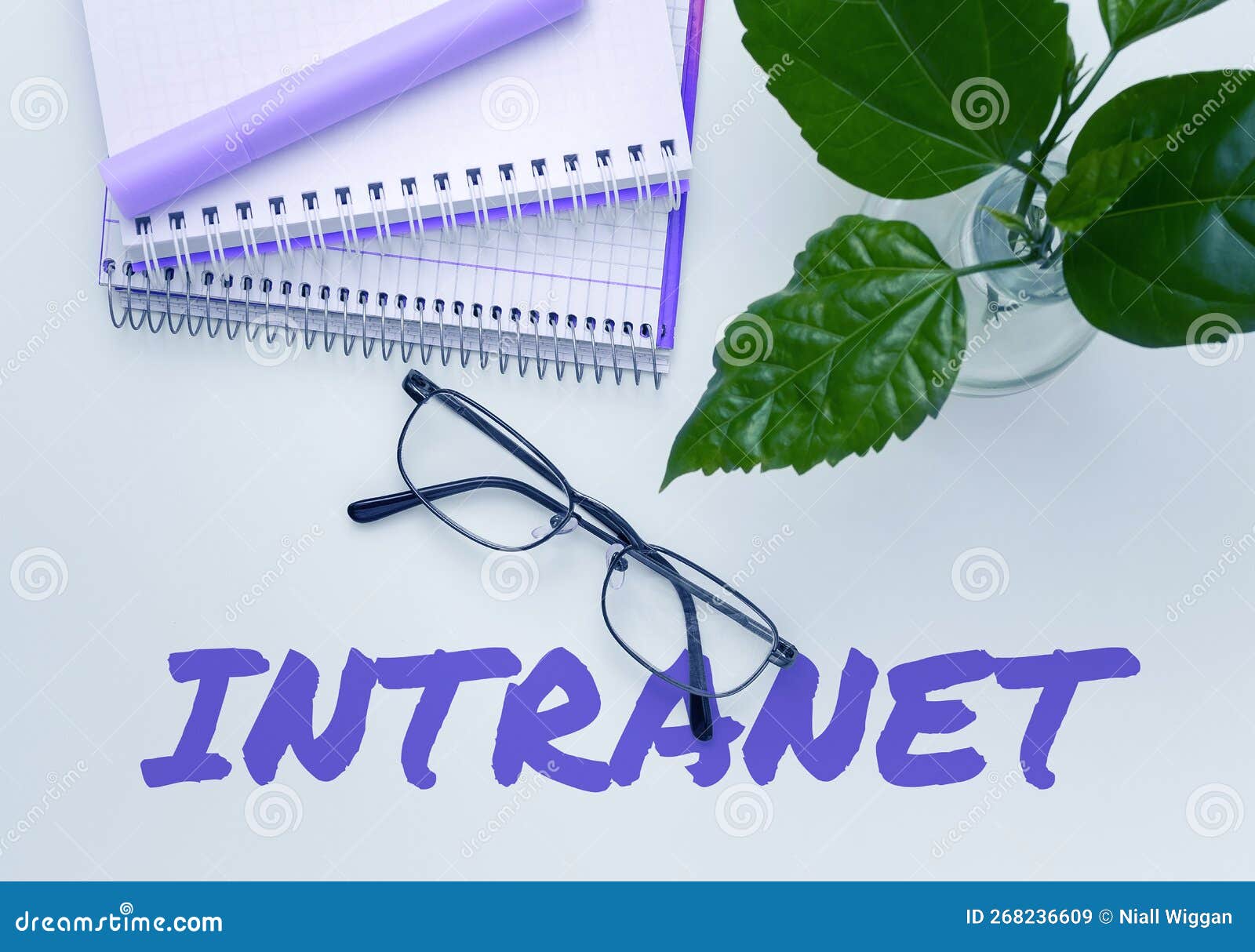 Hand Writing Sign Intranet. Concept Meaning Local or Restricted ...