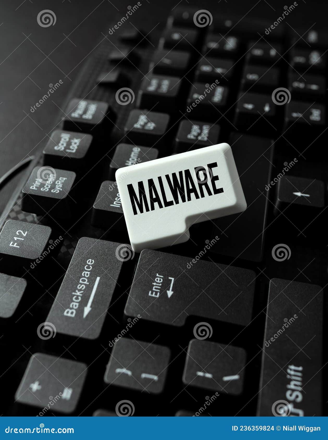 Hand Writing Sign Malware. Conceptual Photo Malicious Software or File ...