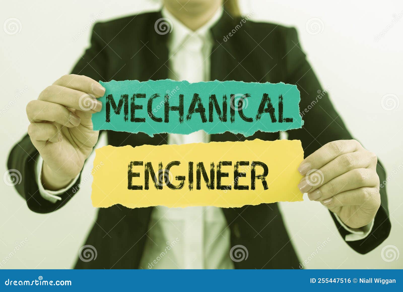 Text Caption Presenting Mechanical Engineer. Business Overview Applied ... Text Caption Presenting Mechanical Engineer. Business Overview Applied ...