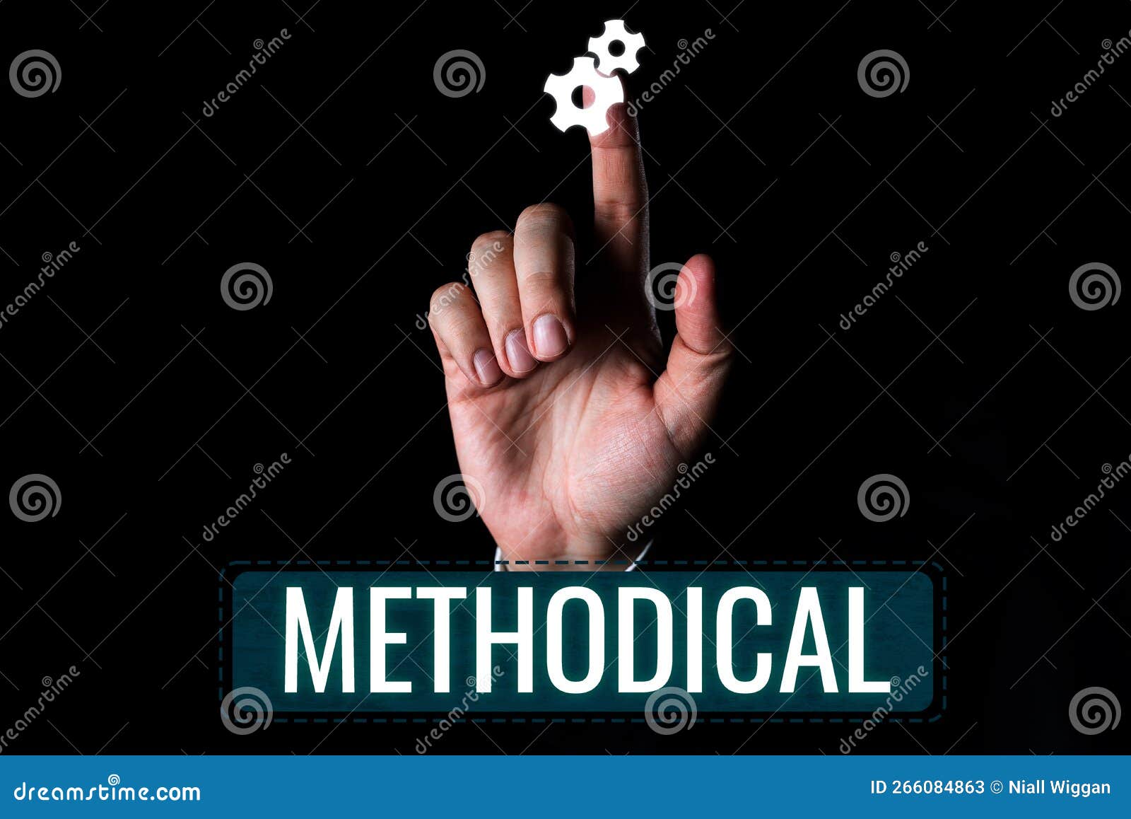 Hand Writing Sign Methodical. Business Overview System of Methods Used ...