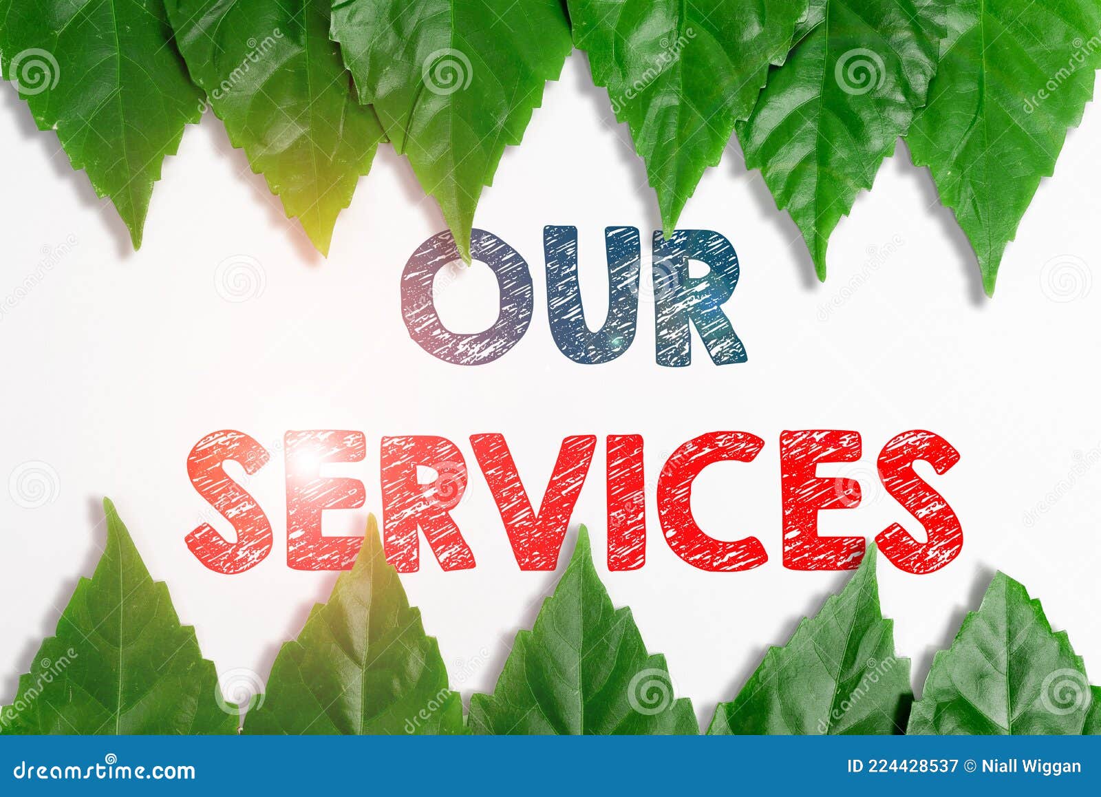 Text Caption Presenting Our Services. Business Showcase the Occupation ...