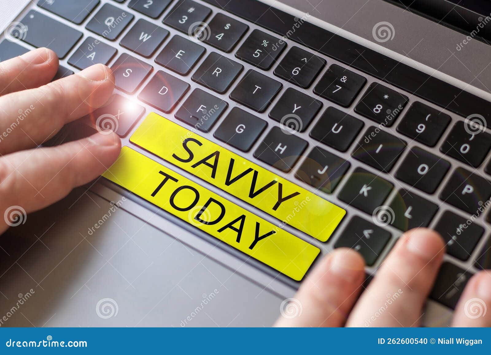 Hand Writing Sign Savvy. Business Overview Having Perception ... Hand Writing Sign Savvy. Business Overview Having Perception ...