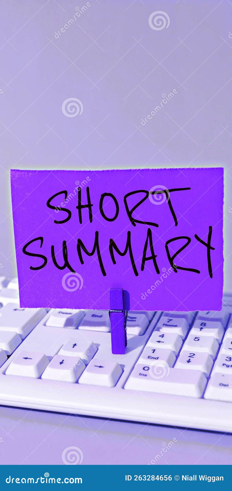 Hand Writing Sign Short Summary. Business Overview Brief Statement of ...