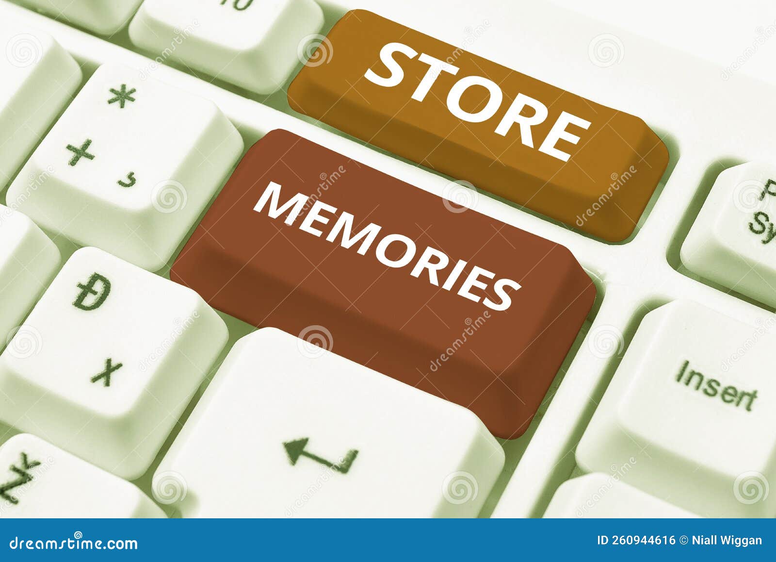 Hand Writing Sign Store Memories. Word for a Process of Inputting and ...