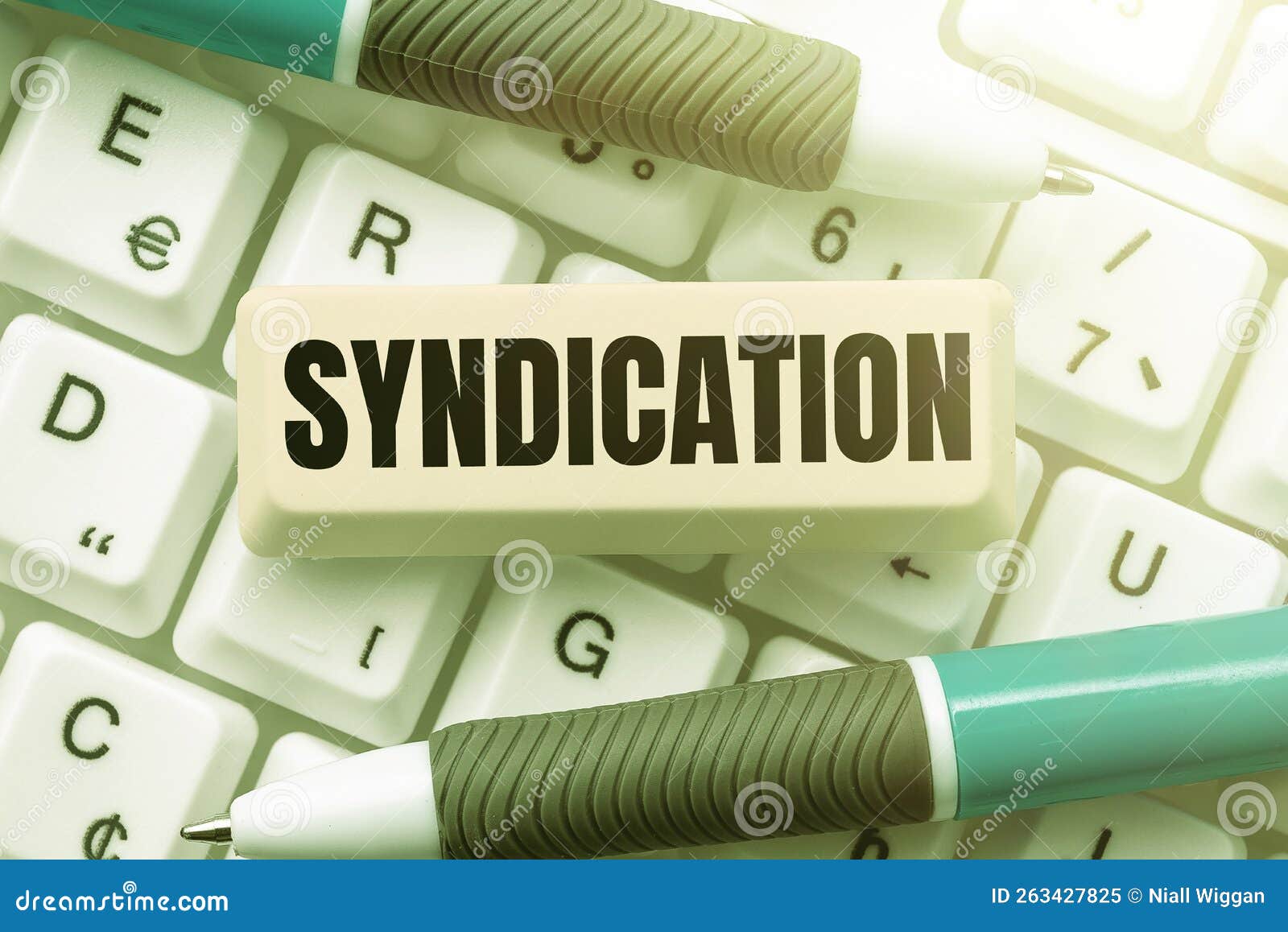 Conceptual Caption Syndication. Business Overview the Transfer of ... Conceptual Caption Syndication. Business Overview the Transfer of ...