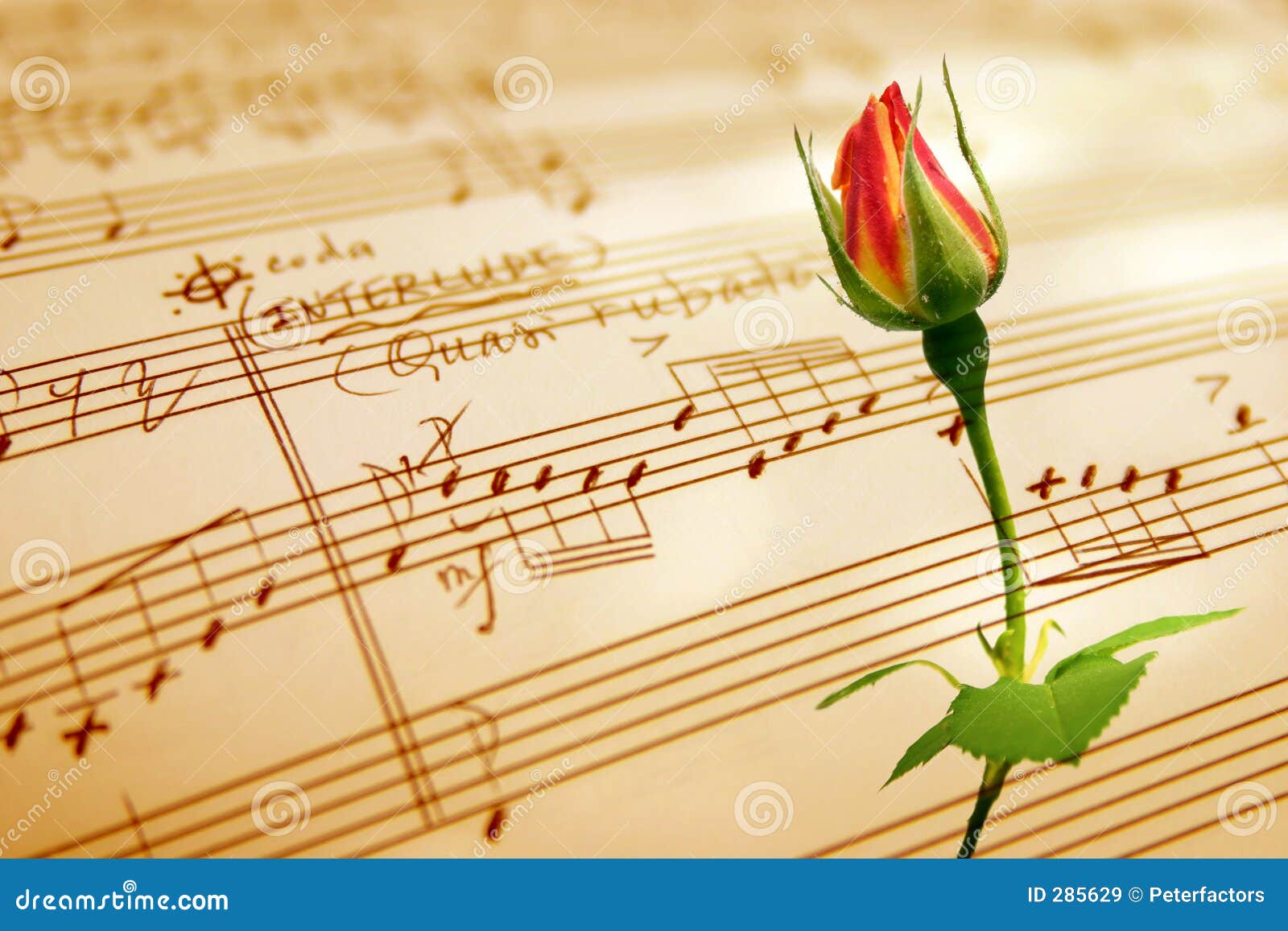 Hand written music sheet stock image. Image of closeup - 285629