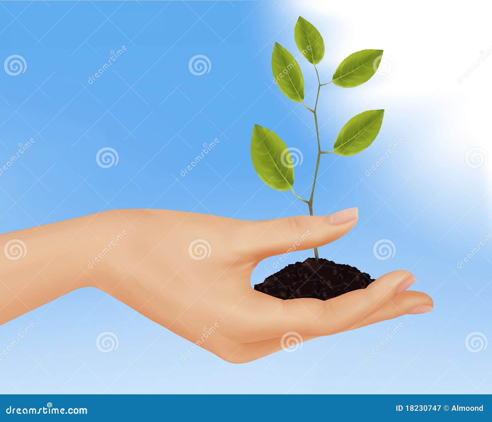 Hand with Young Plant. Vector Stock Vector - Illustration of ...