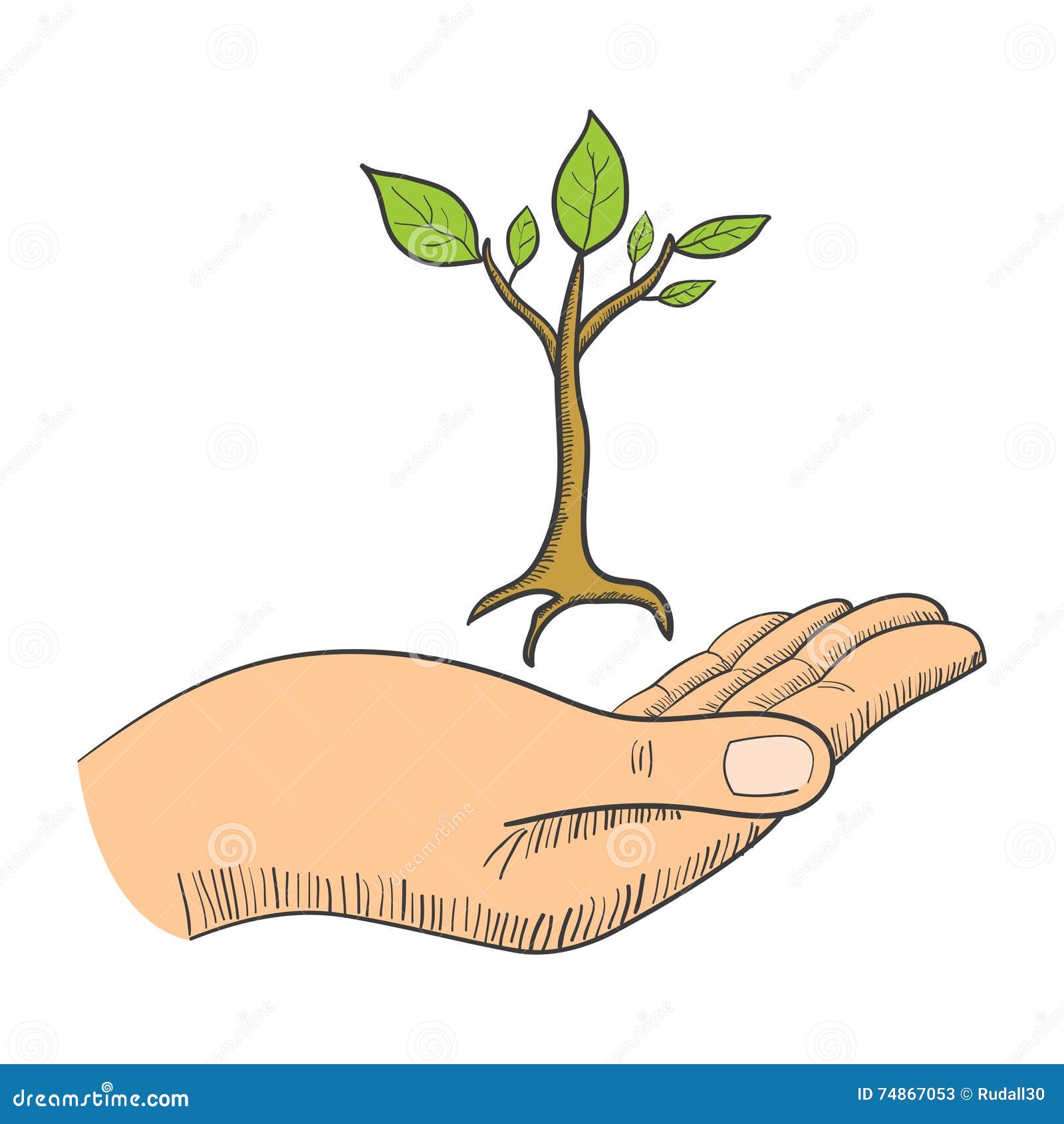 Young Tree Vector Illustration Isolated On White Background ...