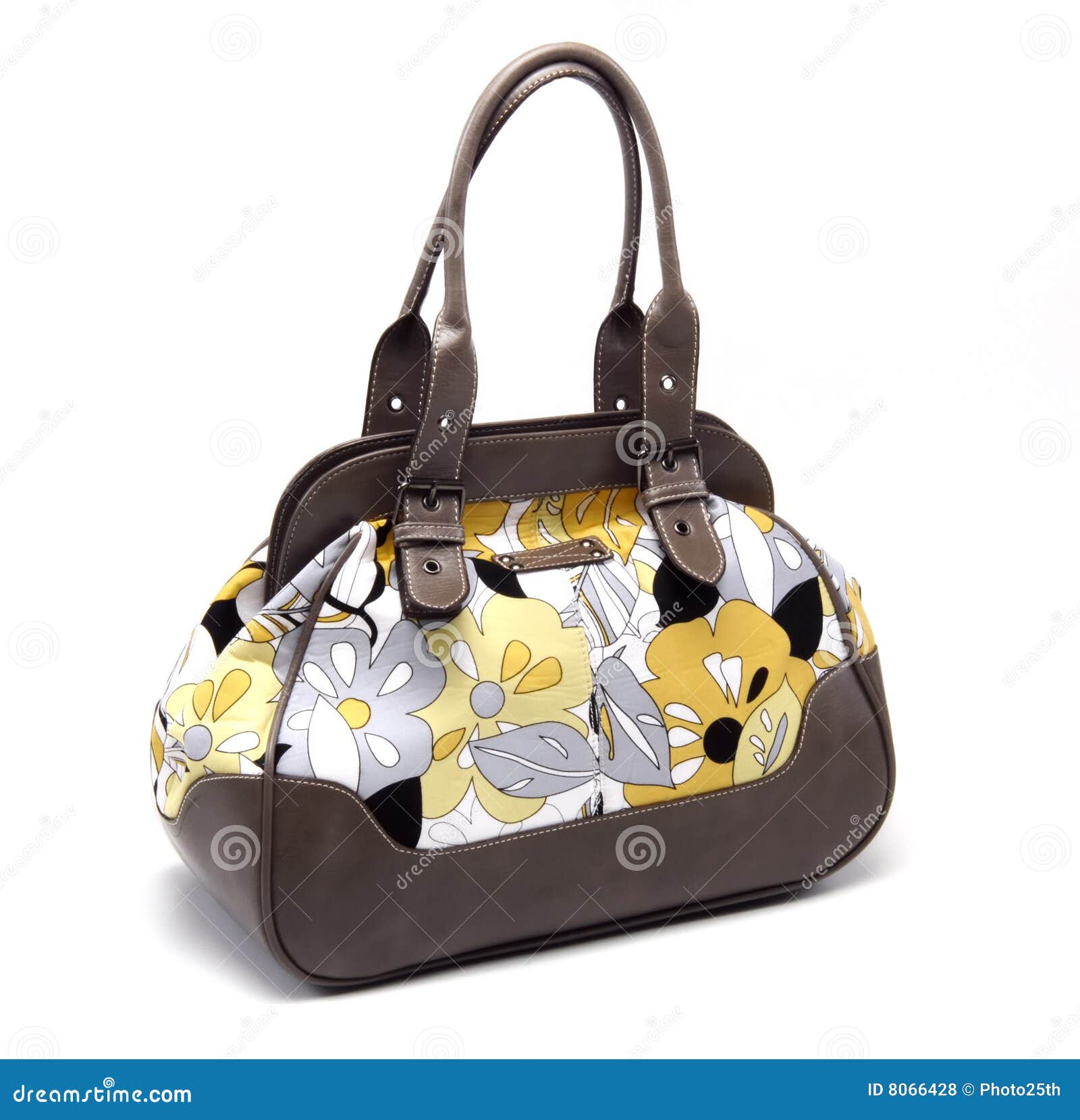Handbag stock photo. Image of beauty, shopping, mall, carry - 8066428