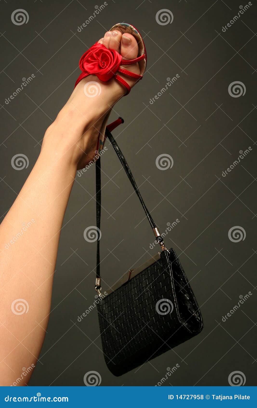 Handbag and shoe stock photo. Image of handbag, black - 14727958