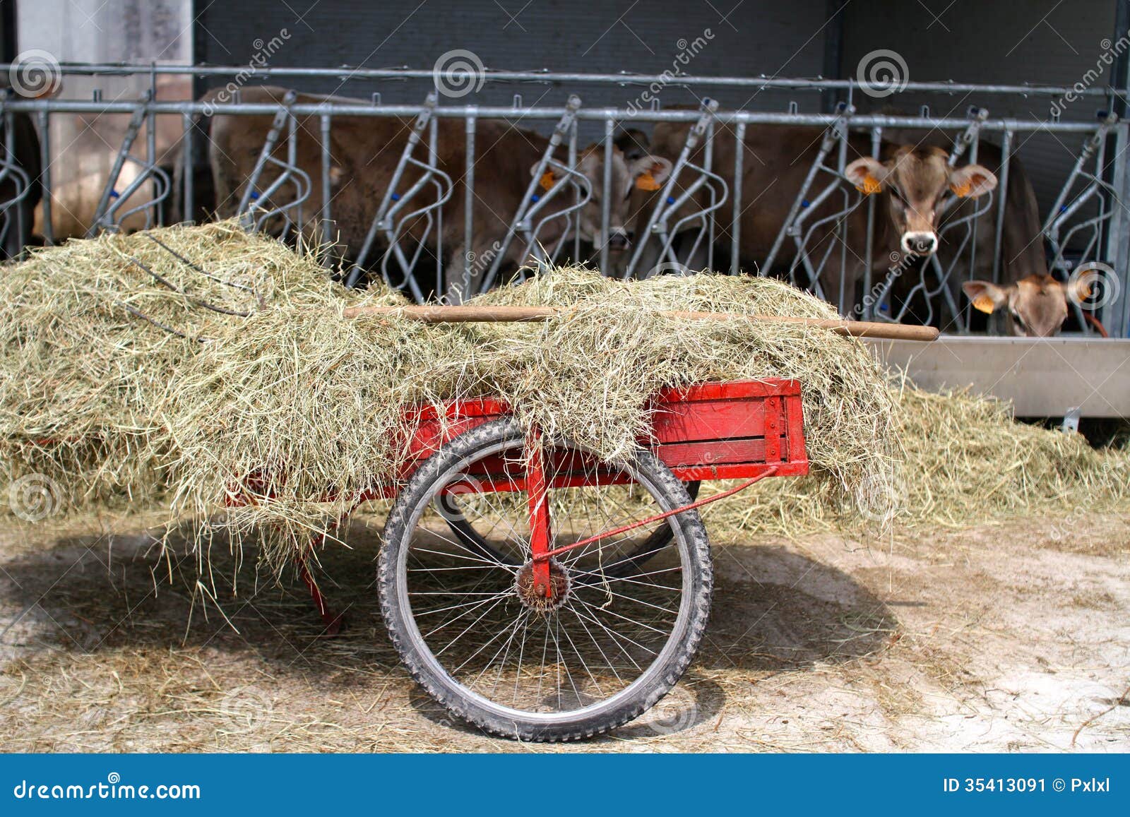 Handcart on a farm stock image. Image of cultivated, rake - 35413091