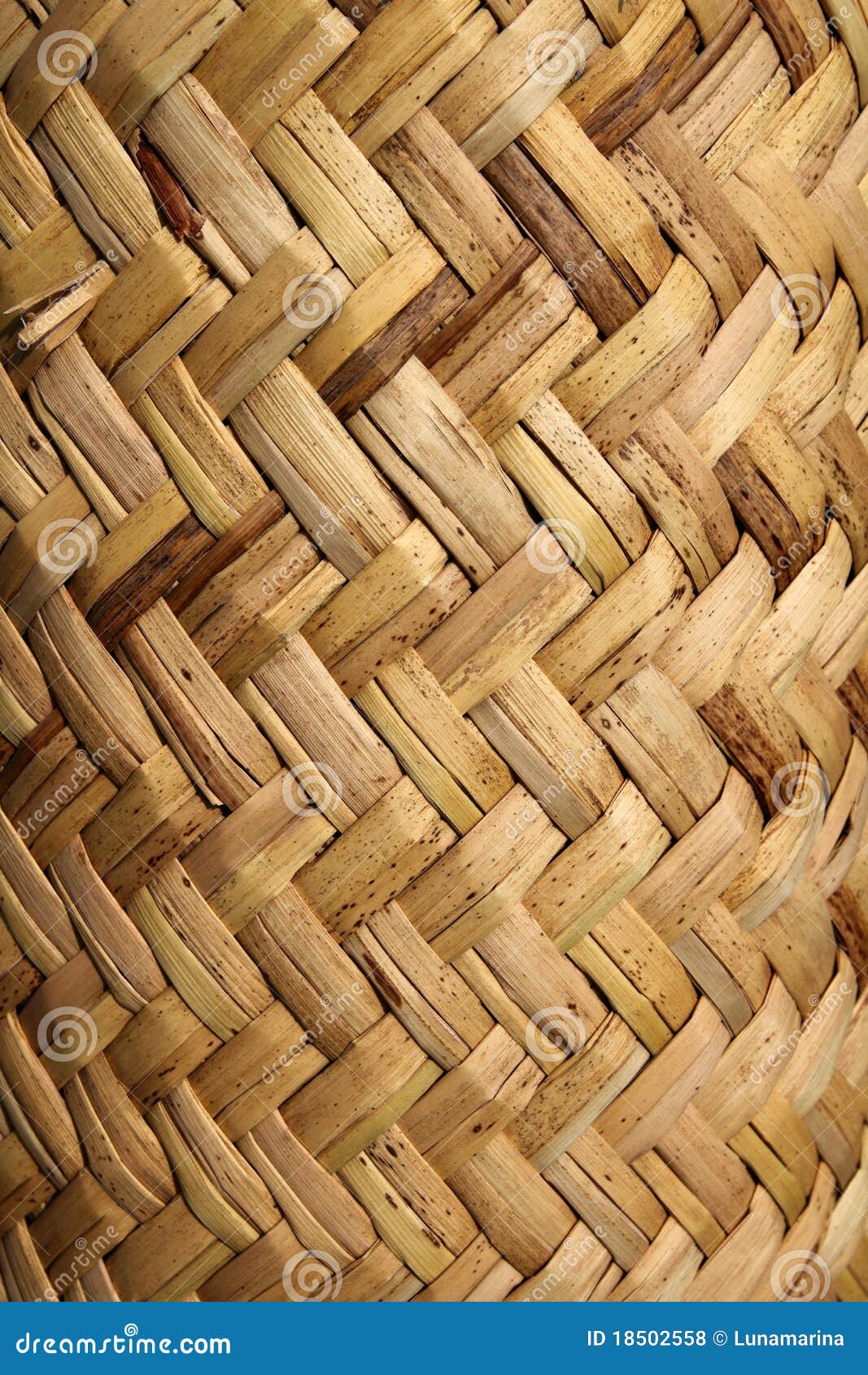 Handcraft Mexican Cane Basketry Vegetal Texture Stock Photo - Image of ...