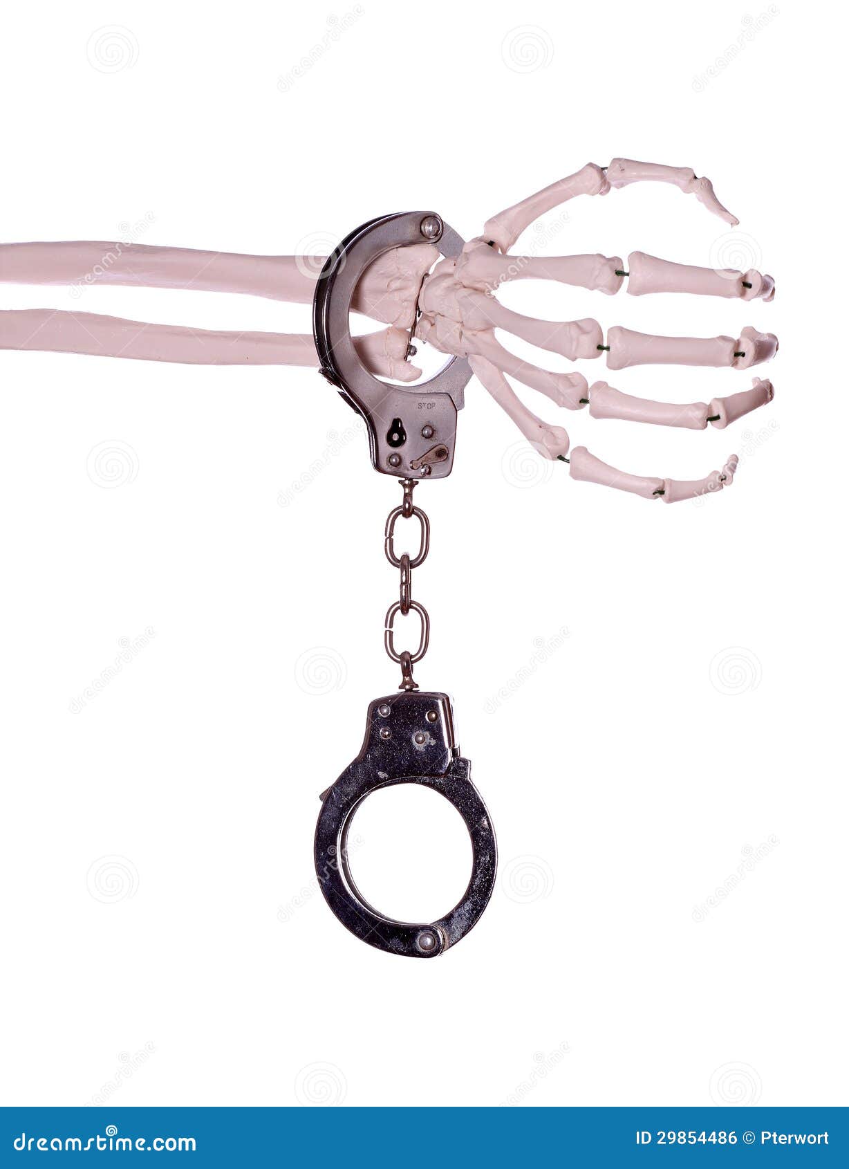 Skeleton Hand Stand Stock Photography | CartoonDealer.com #102252188