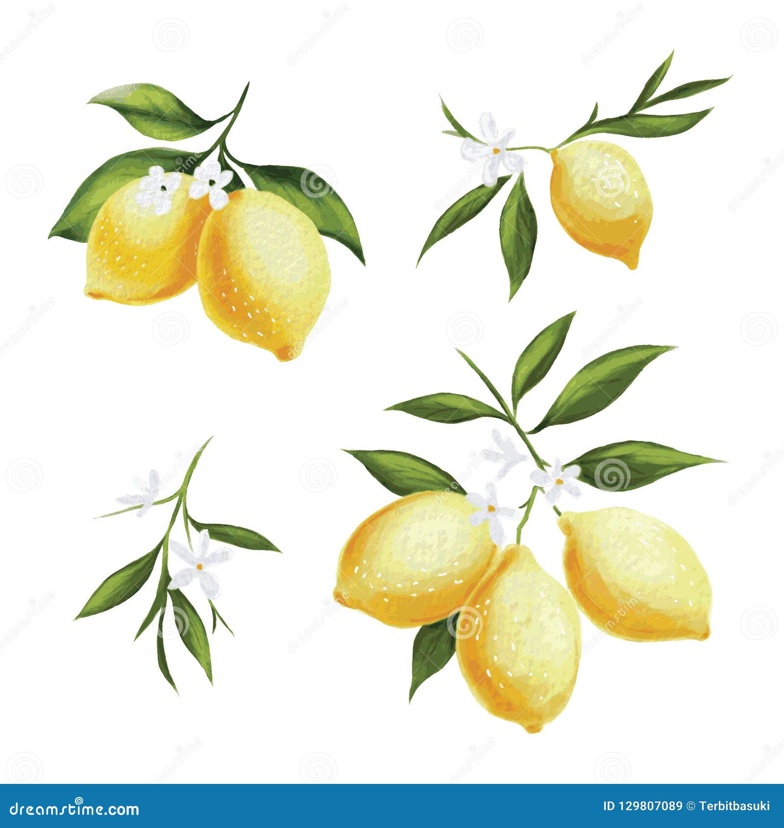 Handdrawing Lemon Pattern Using Watercolor Technique Stock Vector ...
