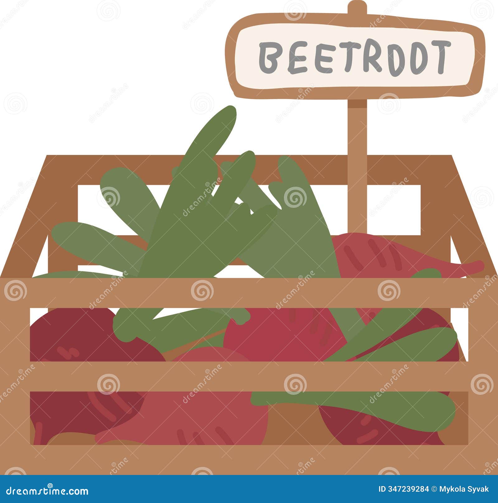 Handdrawn Beetroot in Box stock illustration. Illustration of healthy ...