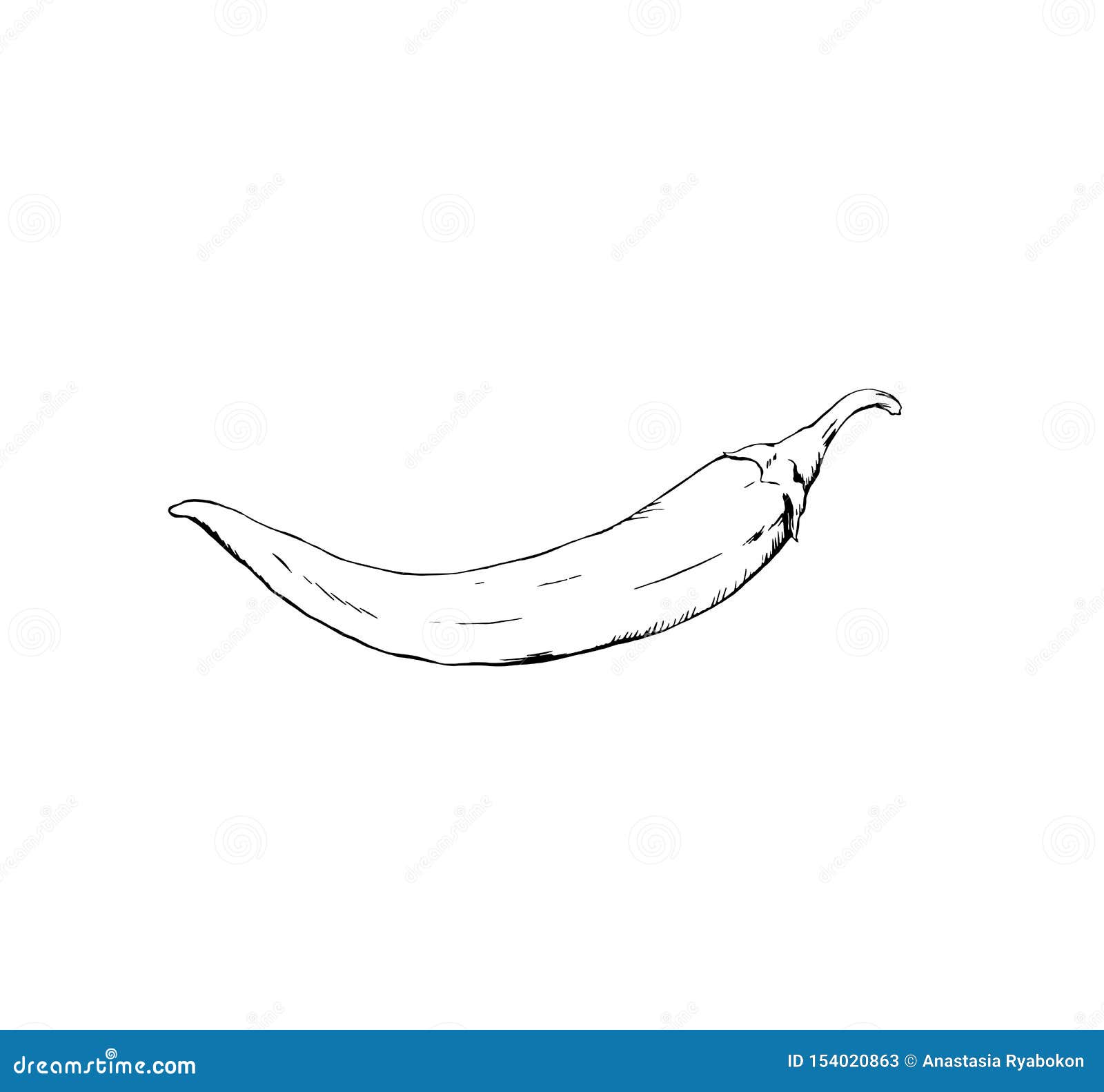 Chilli Sketch. Hot Pepper. Fresh Red Vegetable With Green Leaves ...