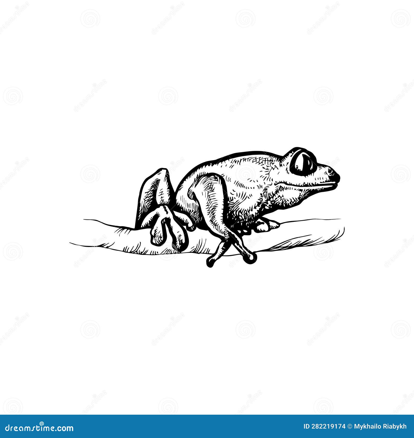 Handdrawn Frog Illustration, Frog Drawing, Toad, Animal, Swamp Stock ...