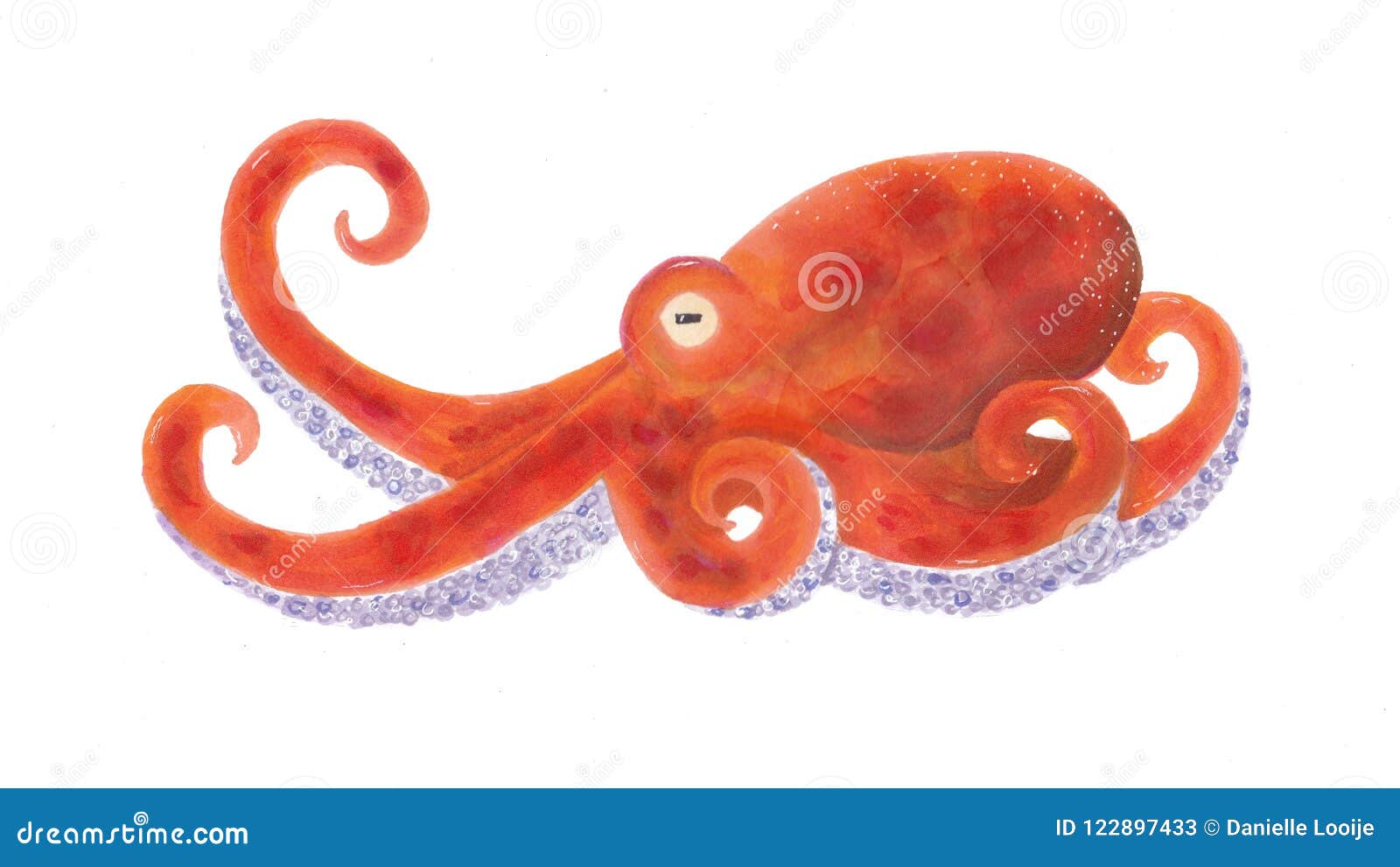 Handdrawn Illustrations of a Orange Octopus Stock Illustration ...