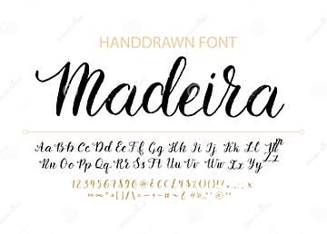 Handdrawn Vector Script Font. Brush Style Textured Calligraphy Cursive ...