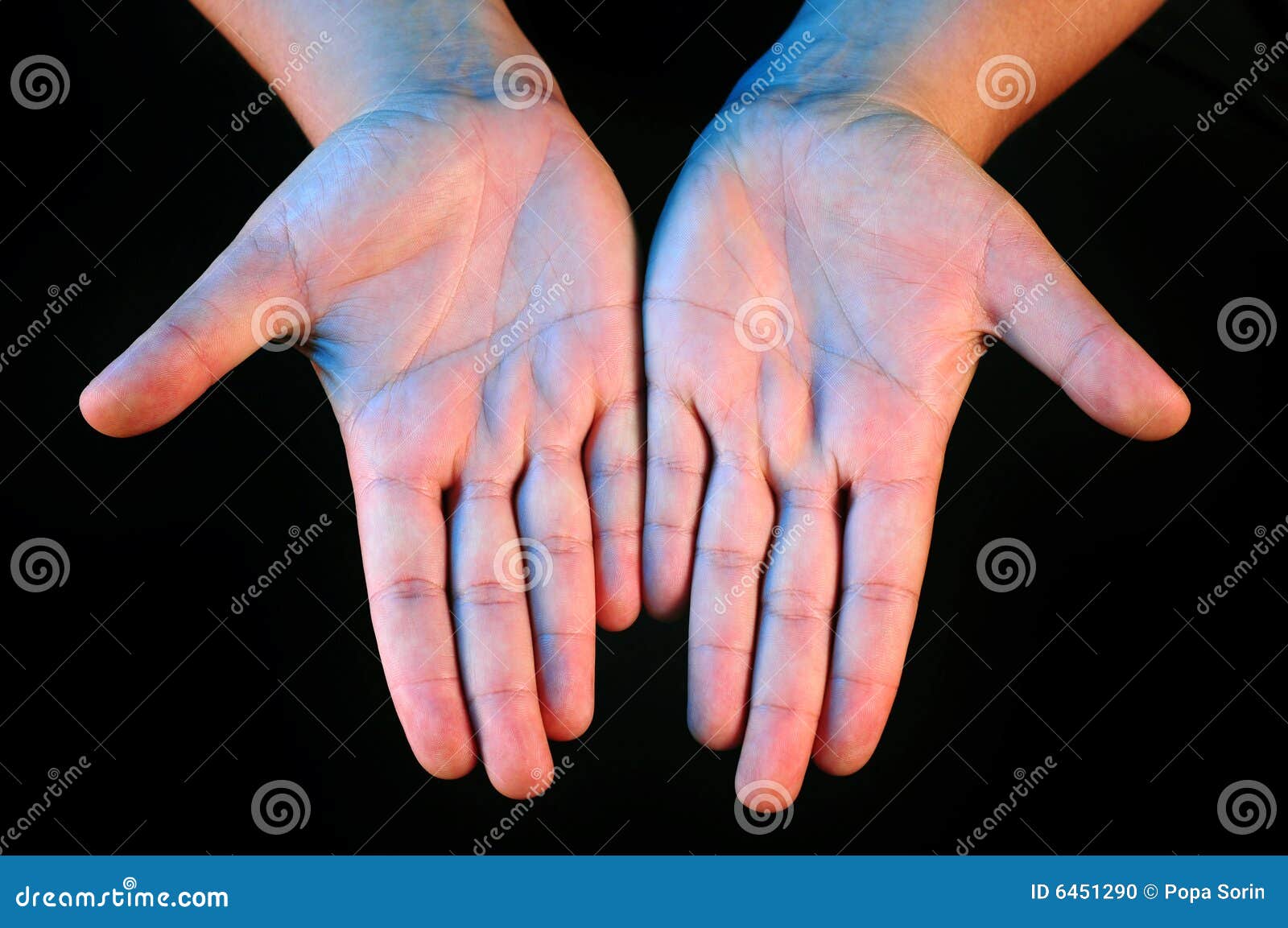 Handen Picture. Image: 6451290