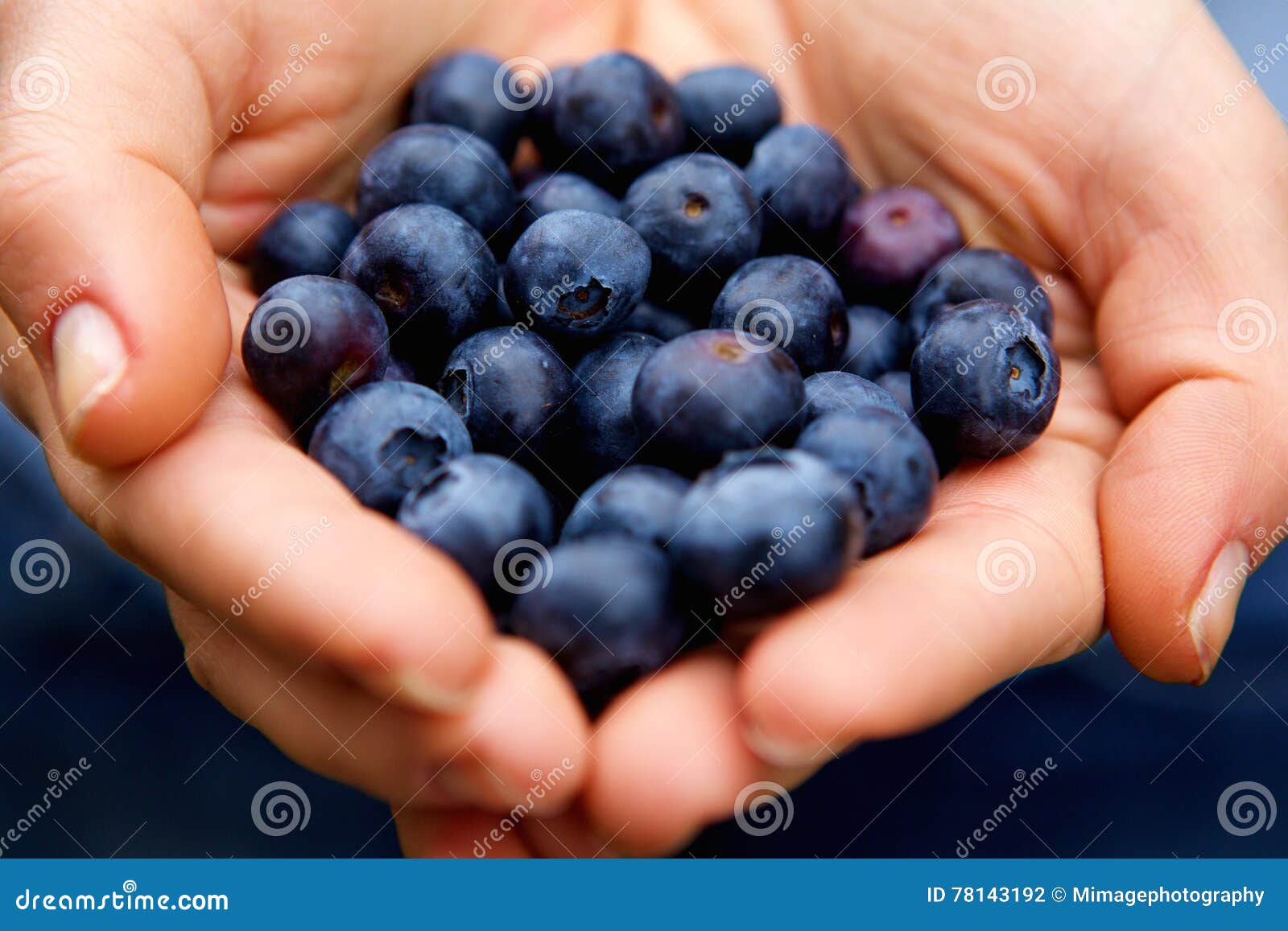 Handful of blueberries stock photo. Image of caucasian - 78143192