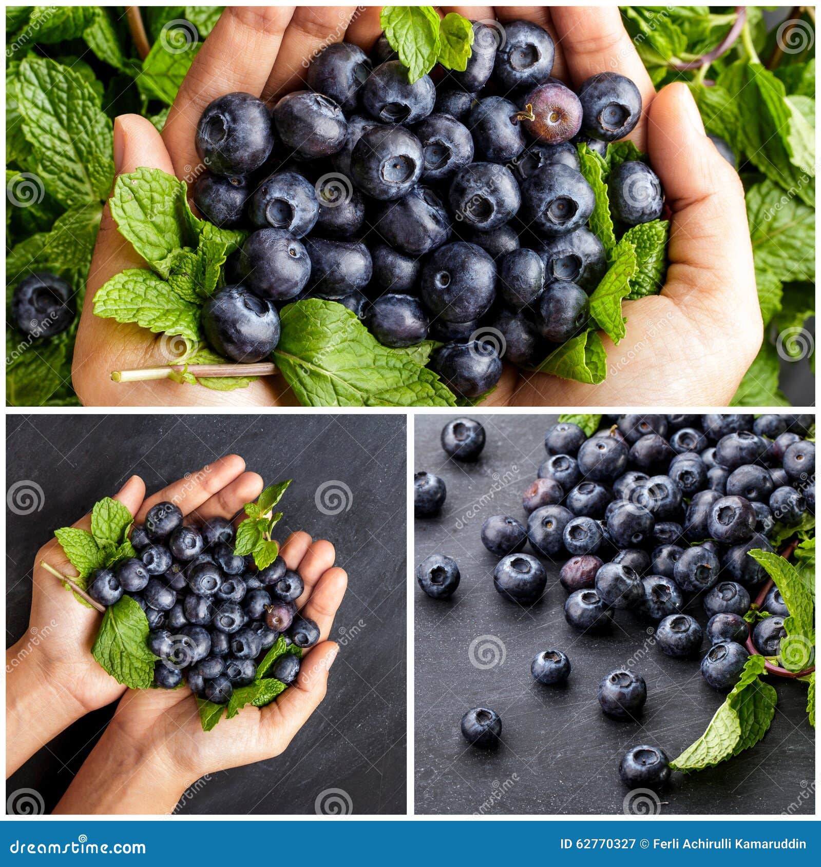 Handful of Blueberry, Close Up Stock Image - Image of bilberries ...